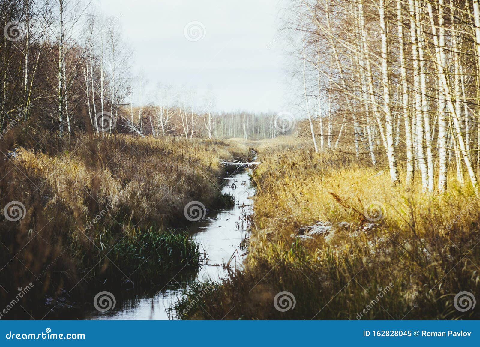 A Small River in the Autumn Forest Stock Image - Image of nature ...