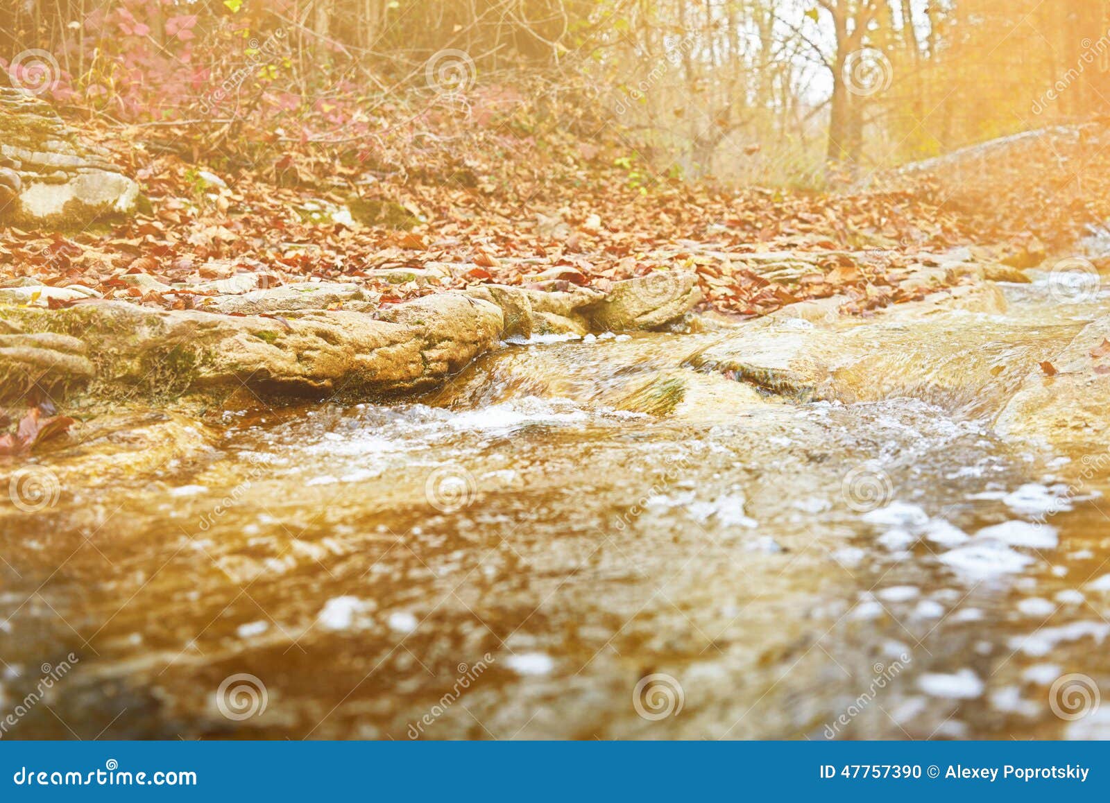 Small river in autumn stock photo. Image of flow, environment - 47757390