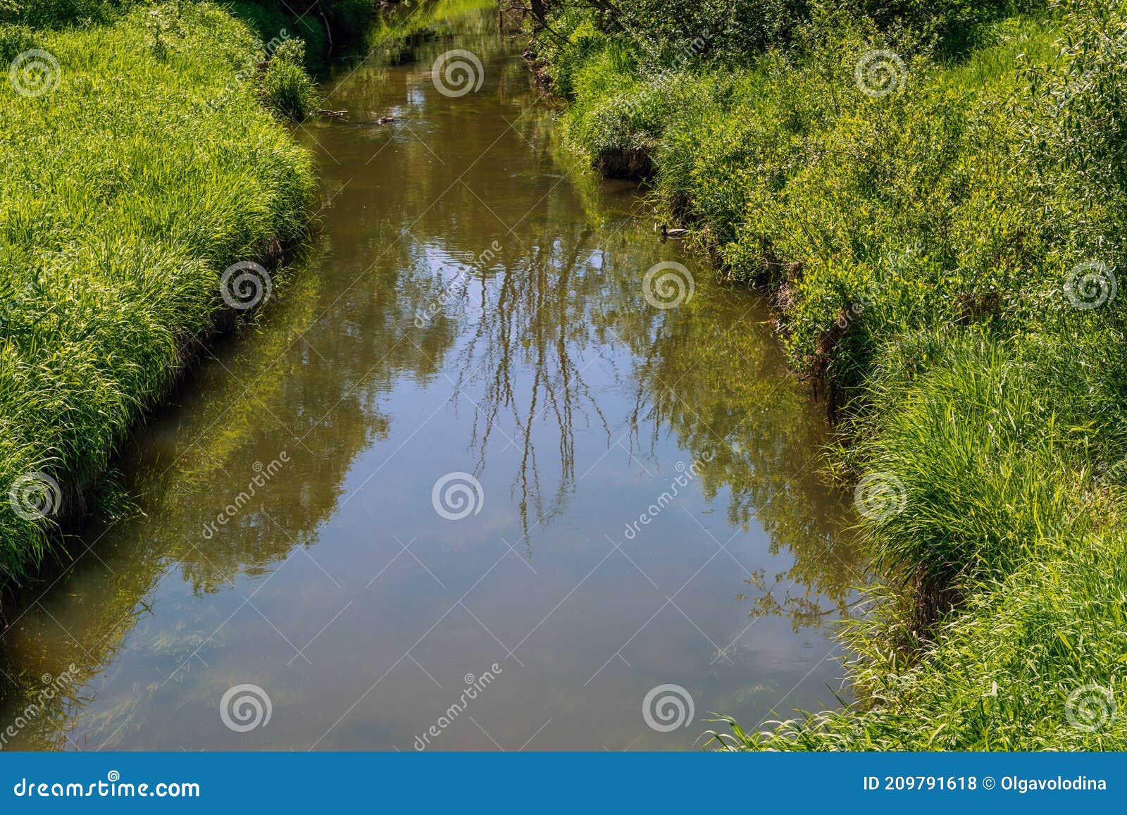 Small Small River Bank in the Summer Stock Photo - Image of ecology ...