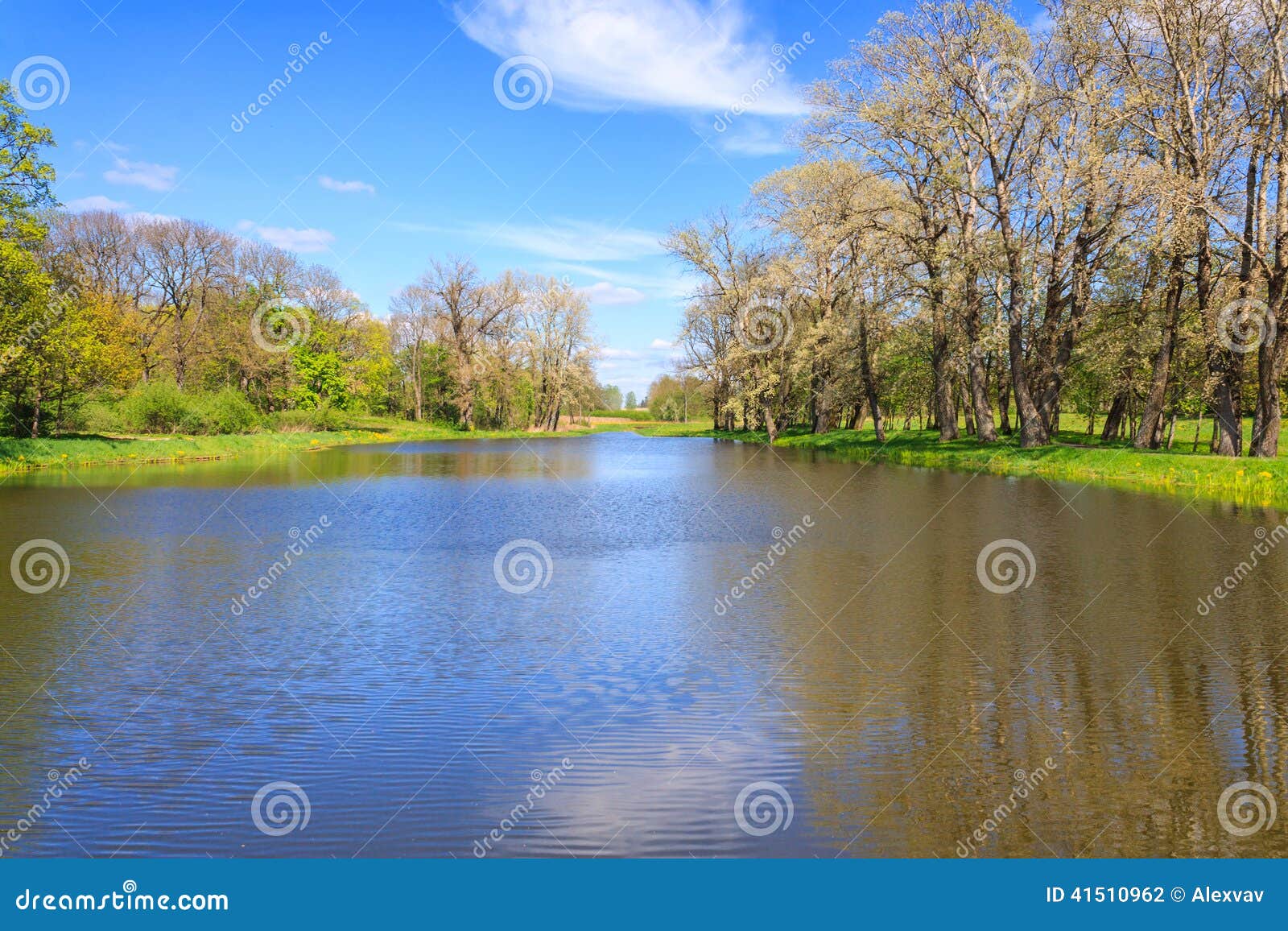 A small river in Belarus stock photo. Image of perspective - 41510962