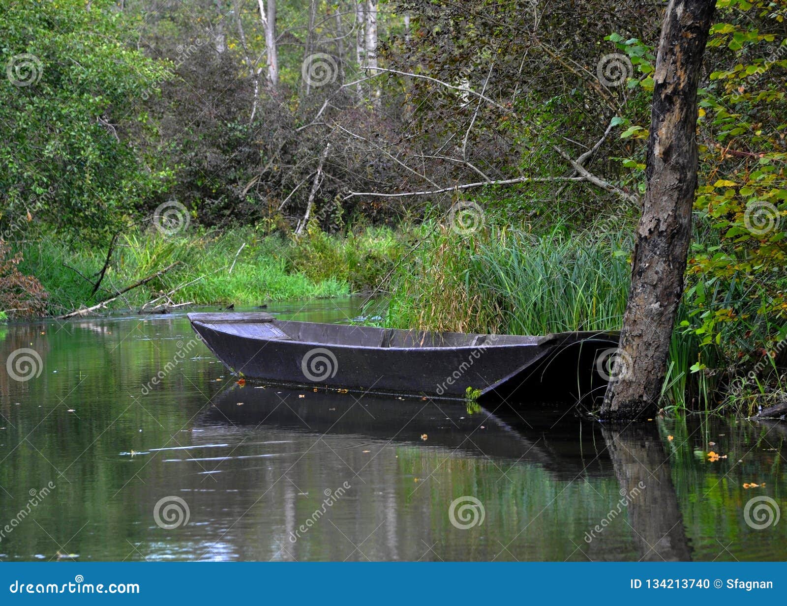 Small River Boot Moored To a Tree Stock Photo - Image of pond, creek ...