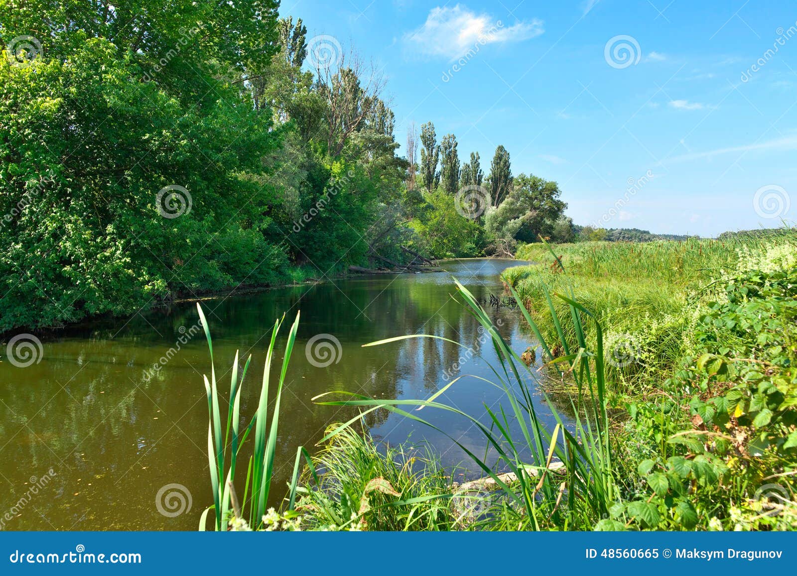 Small river stock image. Image of small, beauty, river - 48560665