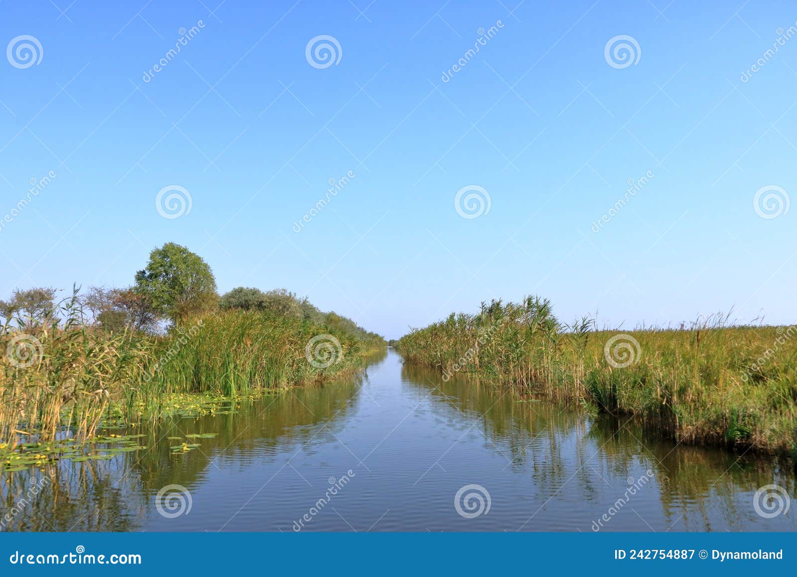 A Small River Channel in the Danube Delta Stock Image - Image of ...