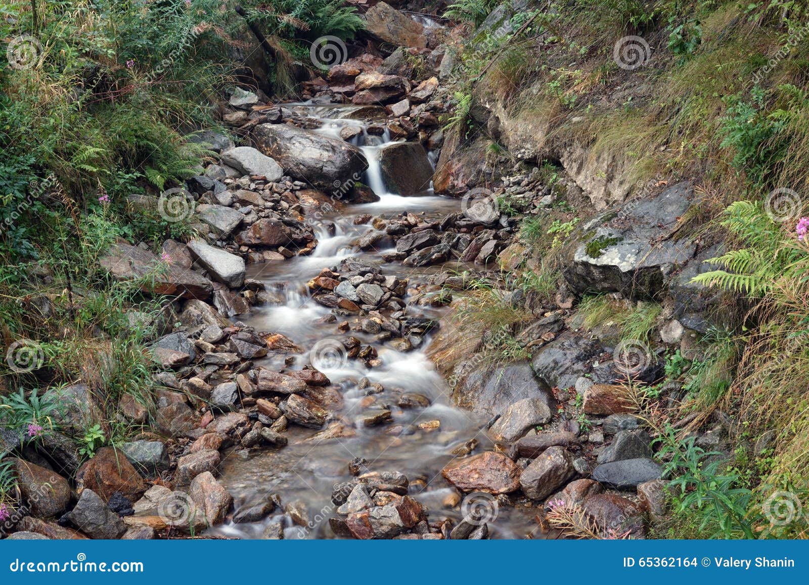 Small river stock photo. Image of purity, outdoors, freshness - 65362164