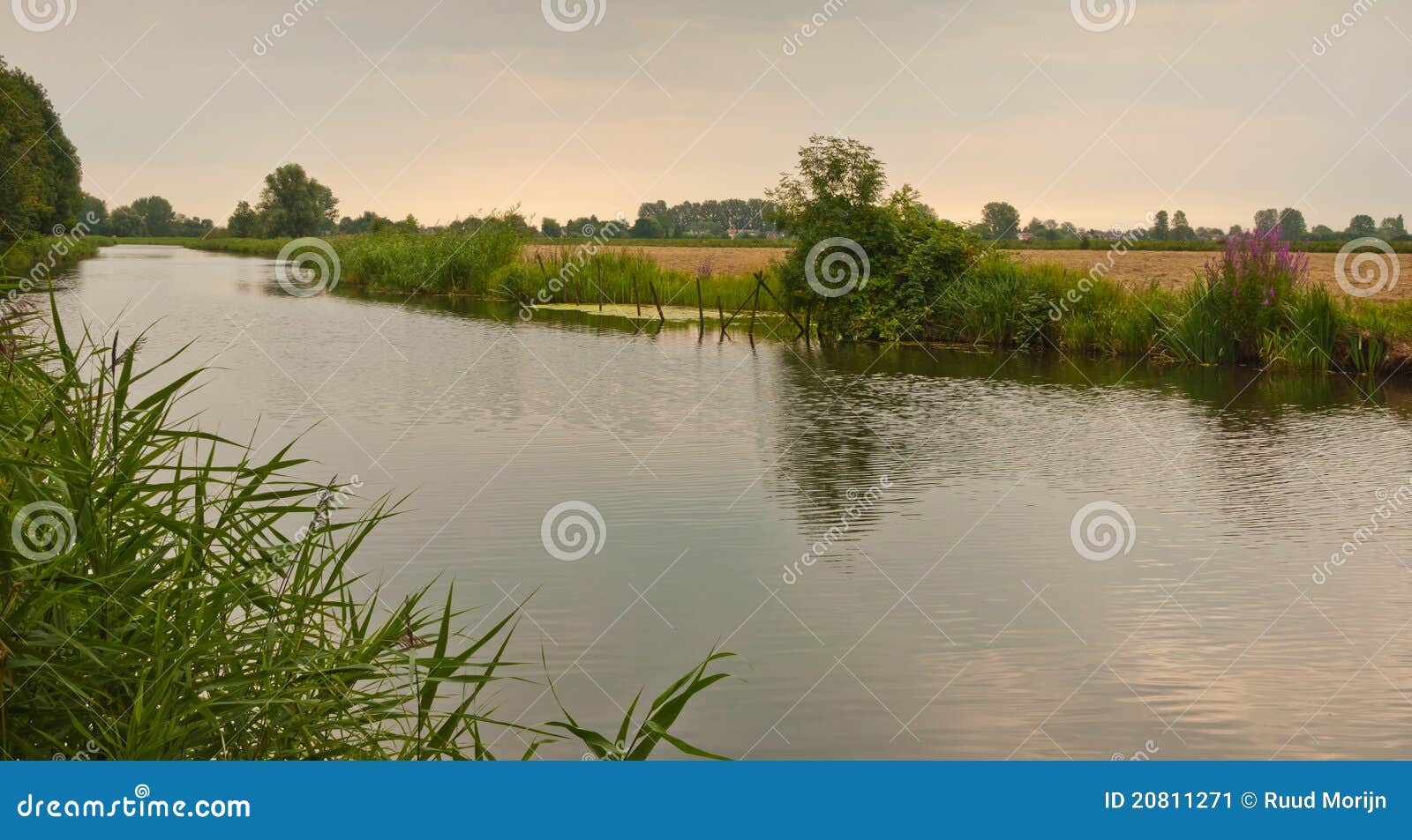 Small River with Colorful Banks and Fields Stock Image - Image of ...