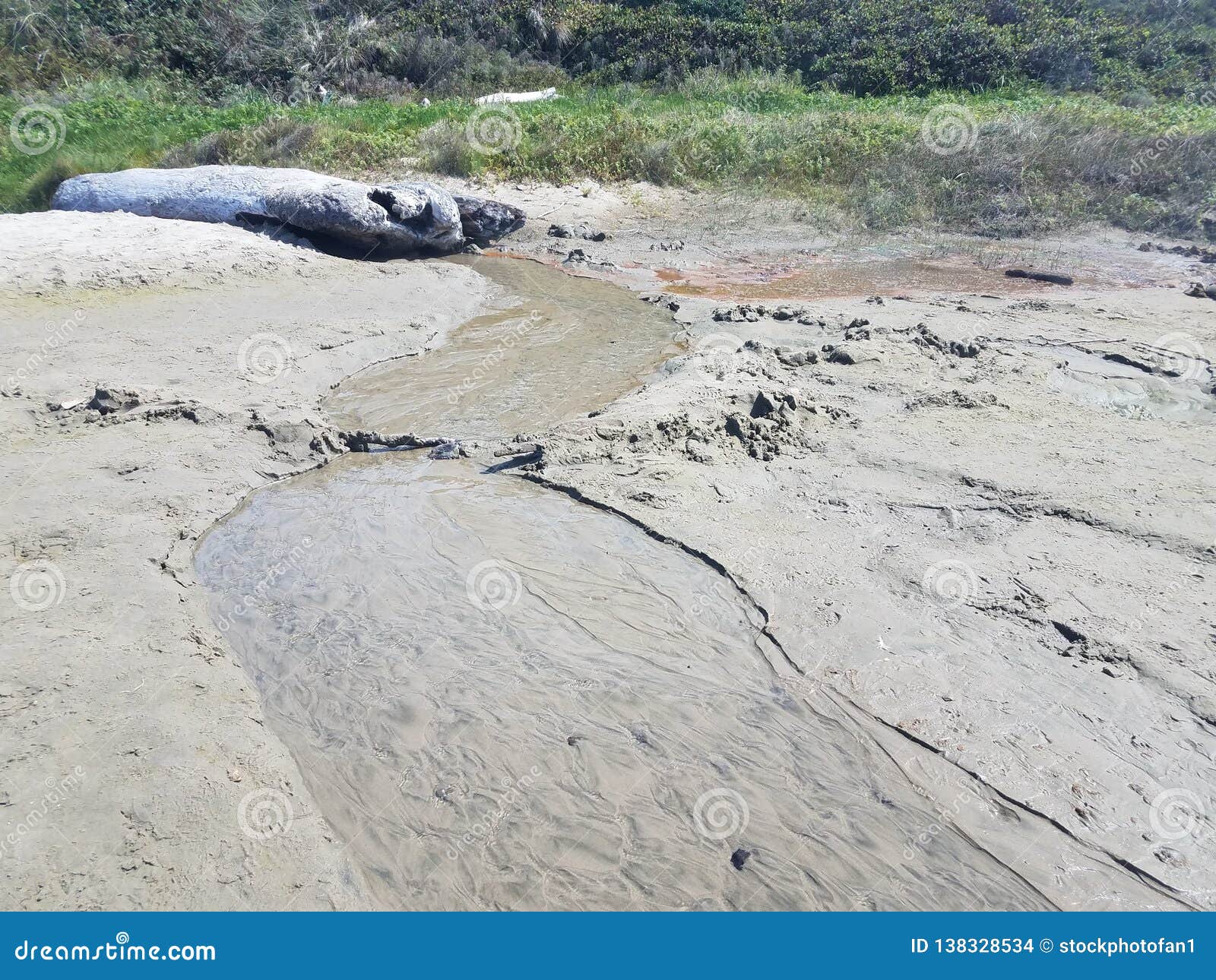 Small River or Creek Water Flowing in Wet Sand Stock Photo - Image of ...