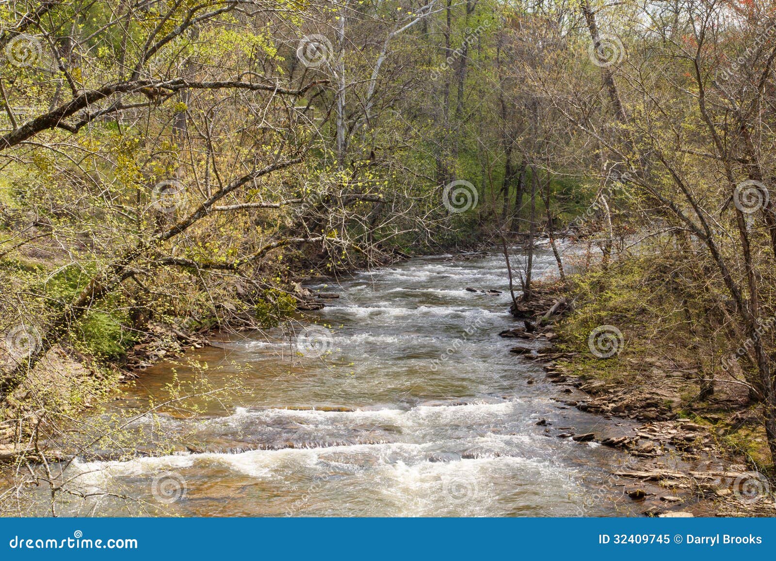 Small River Curving through Spring Forest Stock Image - Image of ...