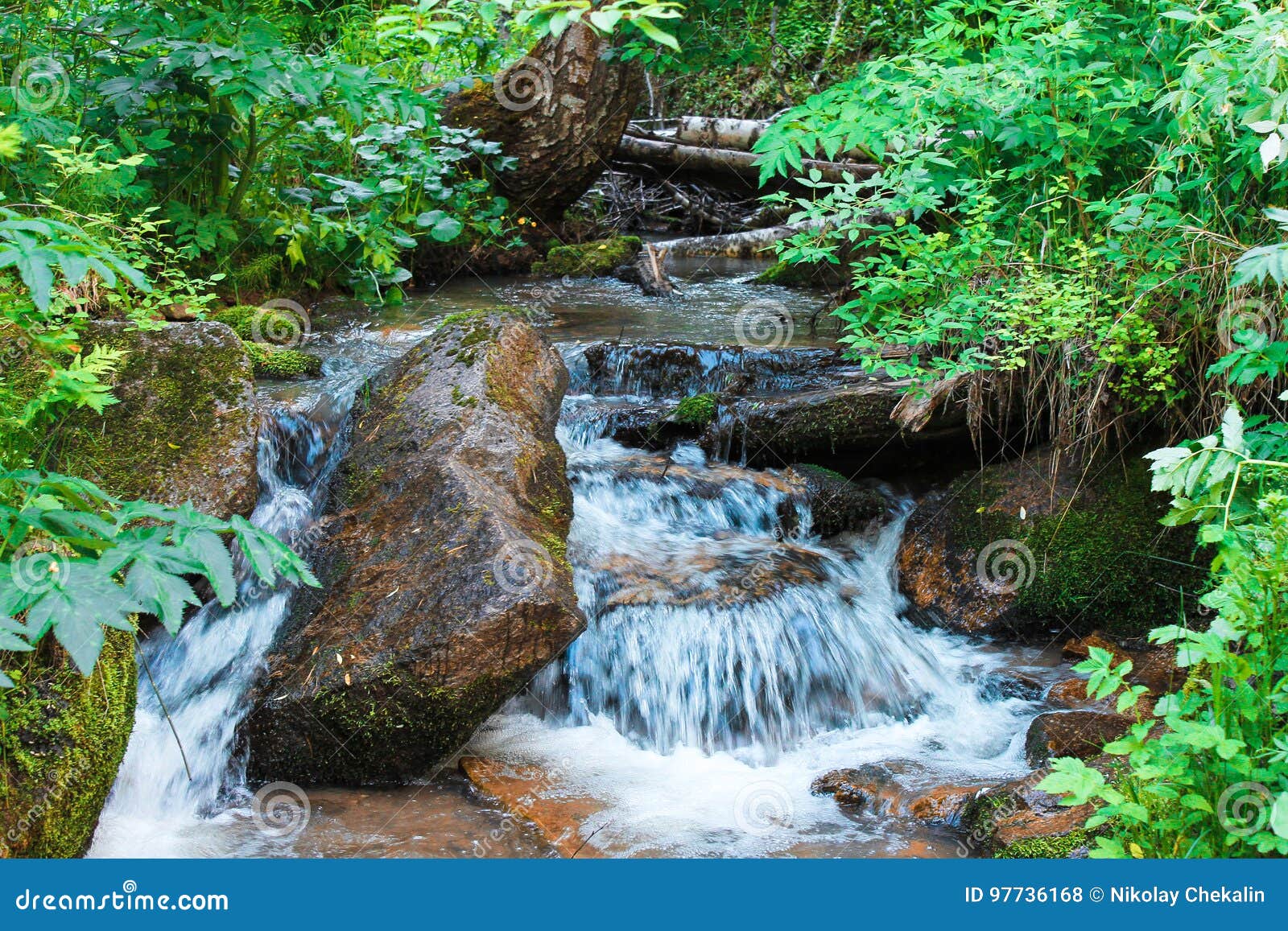 A Small River in a Dense Green Forest Creates a Small Waterfall Stock ...