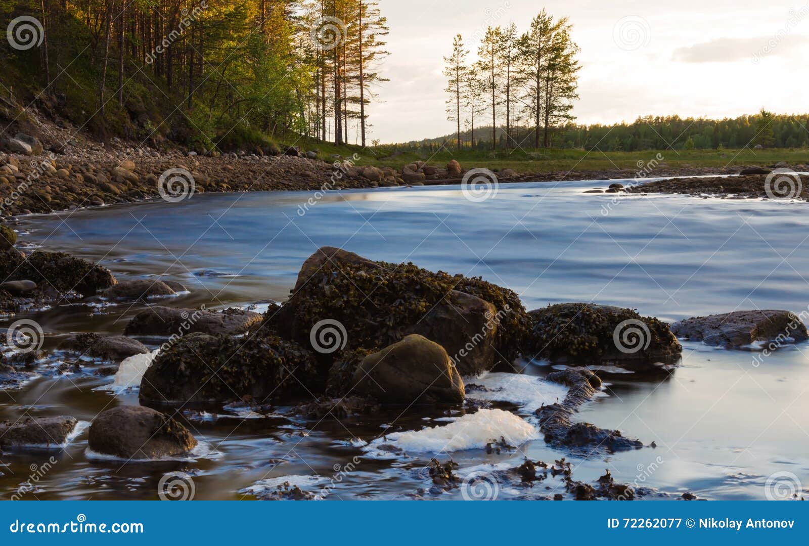 Small River with Dynamic Water and Stones on the Foreground Stock Image ...