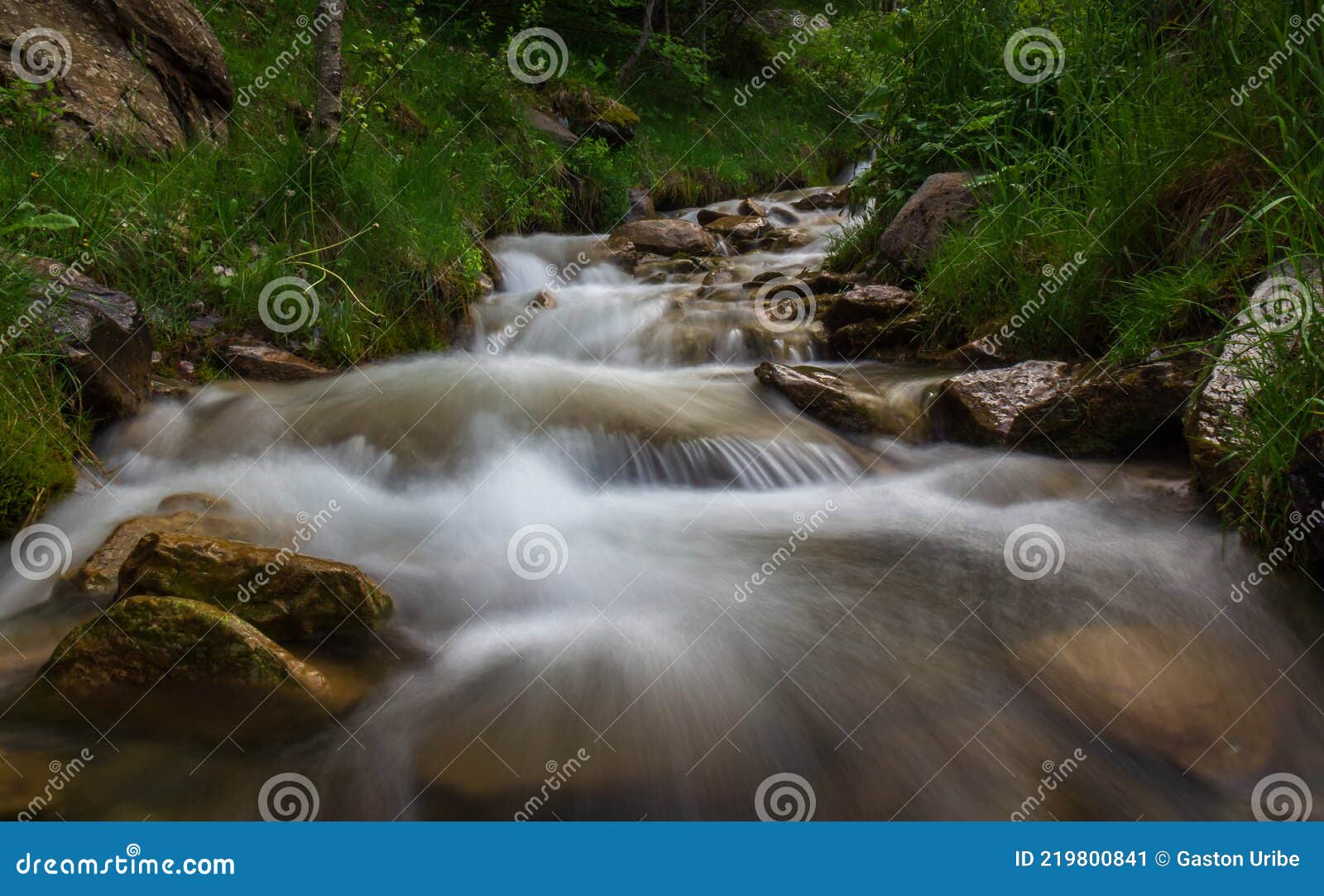 Small River Falling among the Rocks and Trees of the Forest Stock Image ...