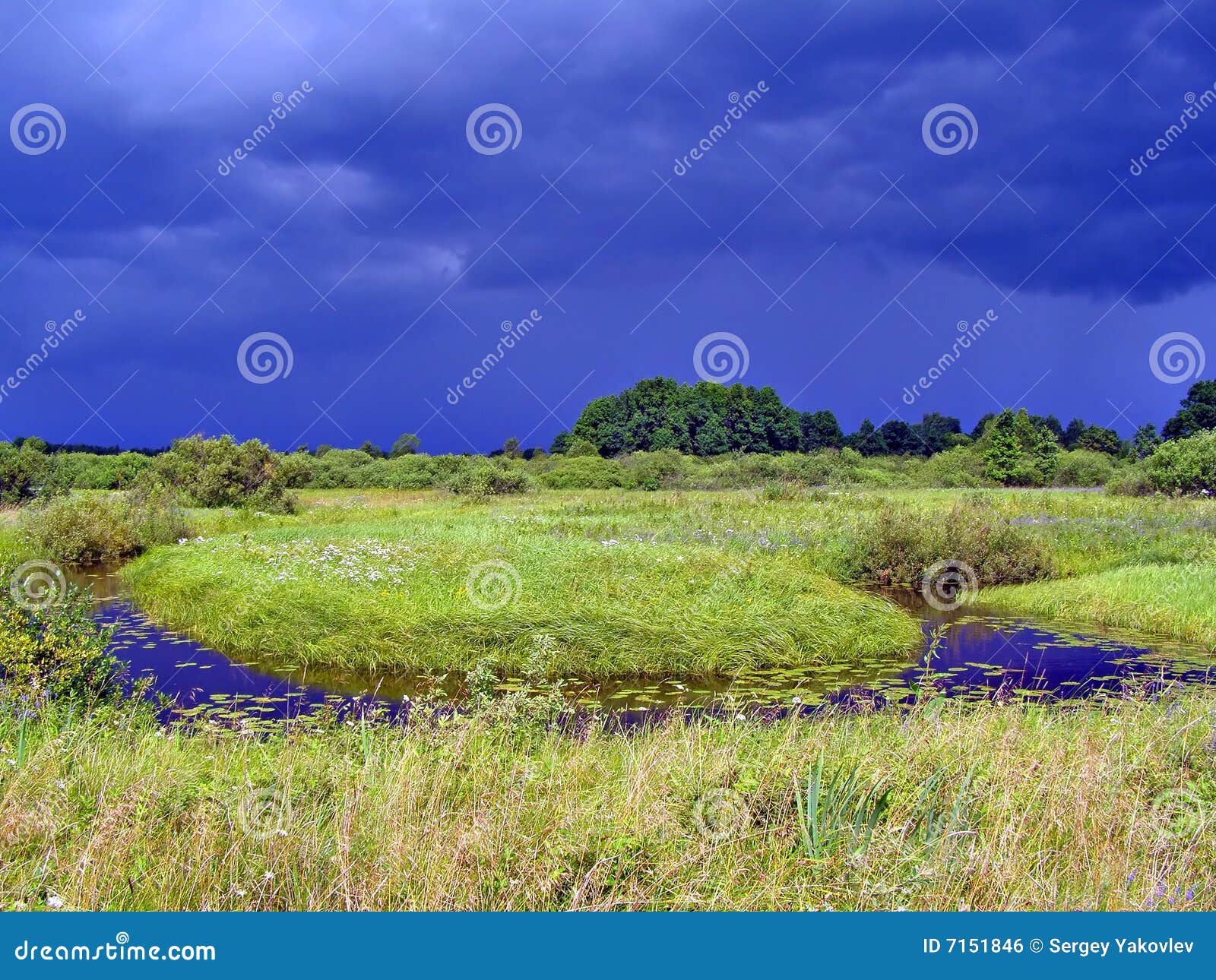 Small river on field stock photo. Image of autumn, foliage - 7151846