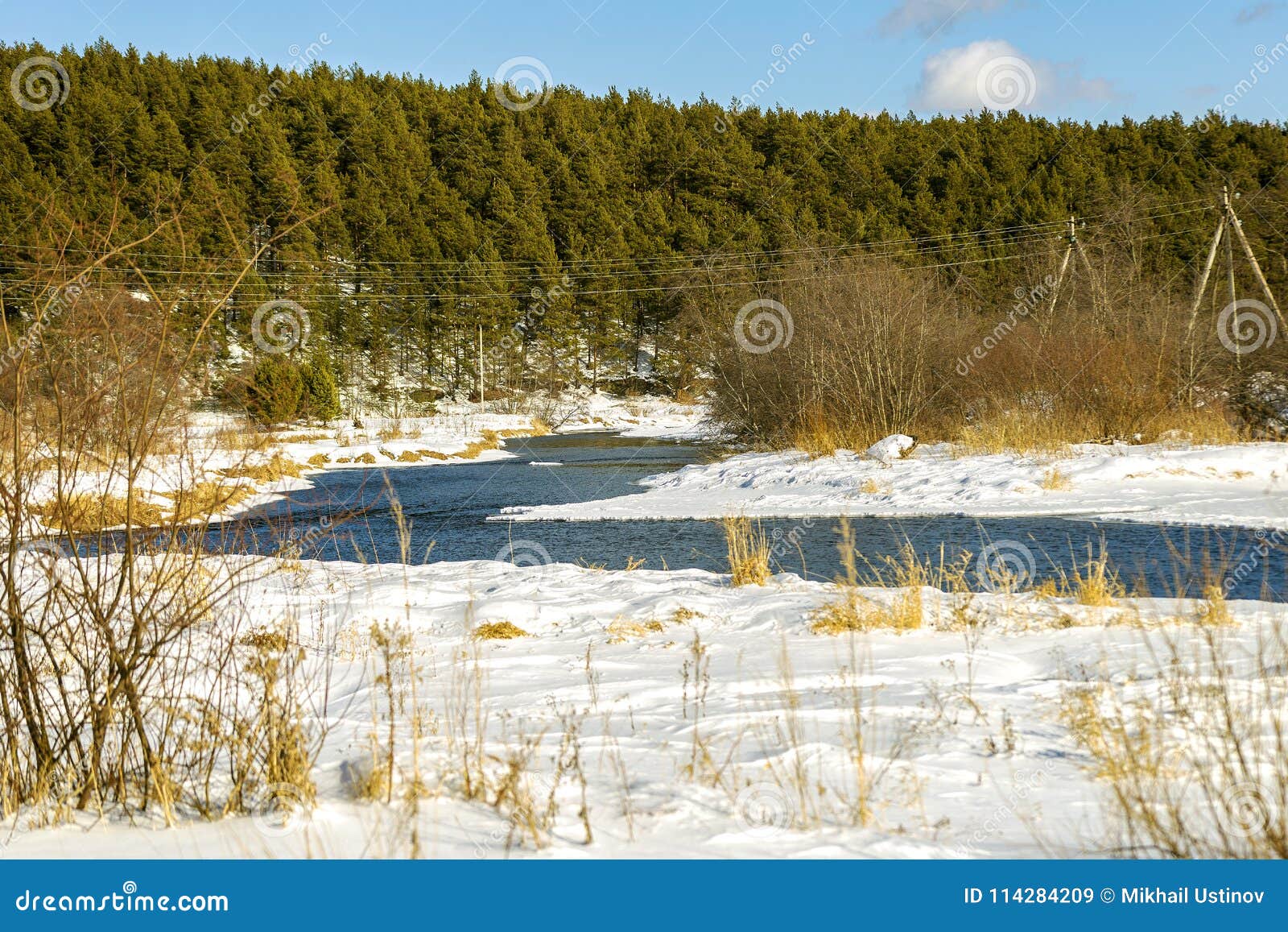 A small river in the field stock image. Image of fern - 114284209