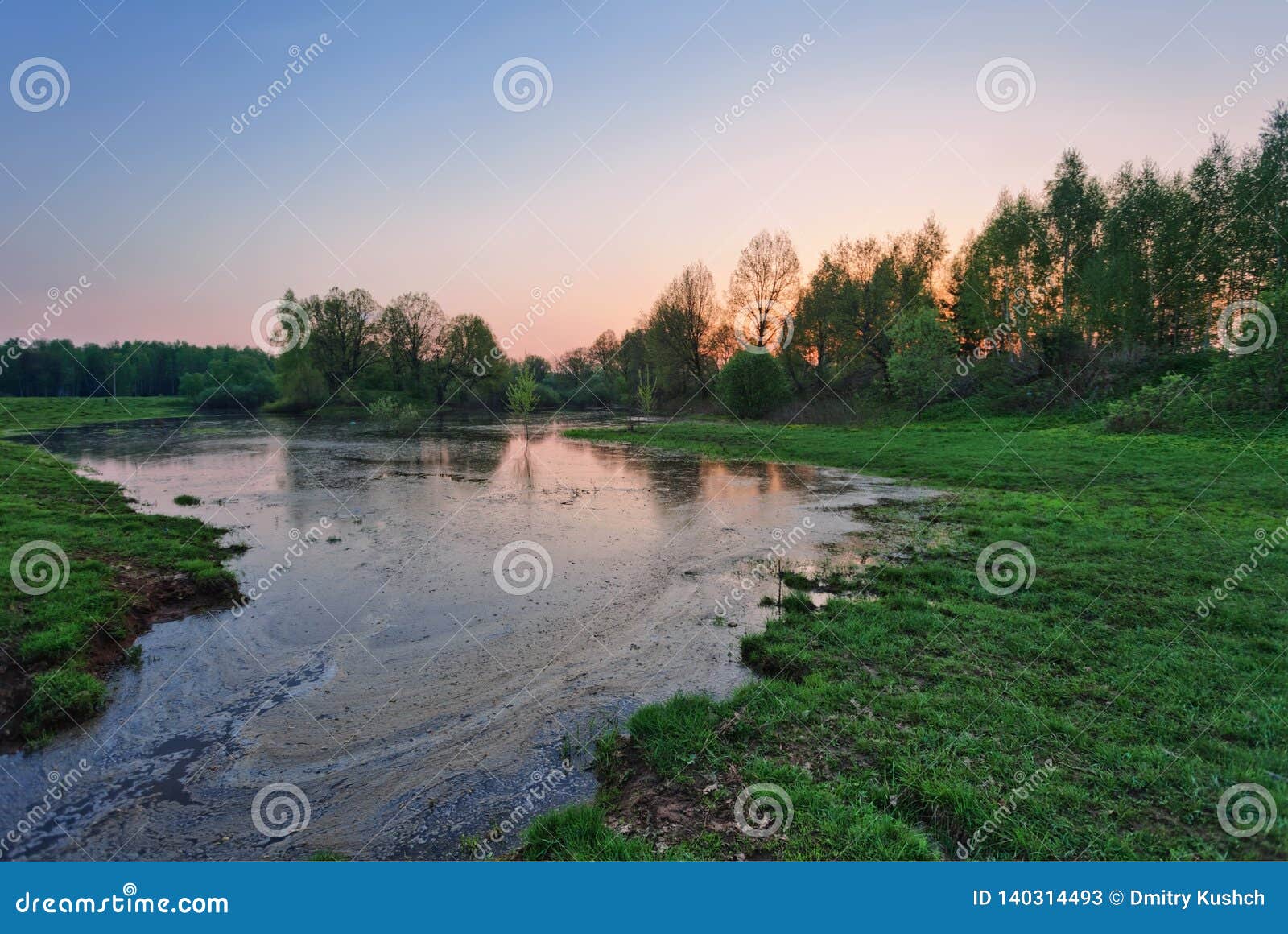 Small river in field stock image. Image of orange, grass - 140314493