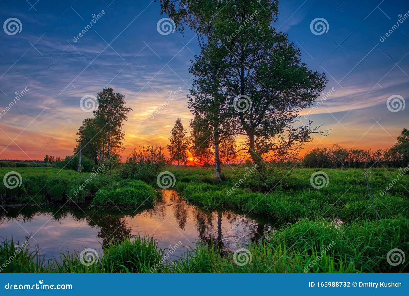 Small river in field stock photo. Image of evening, floral - 165988732
