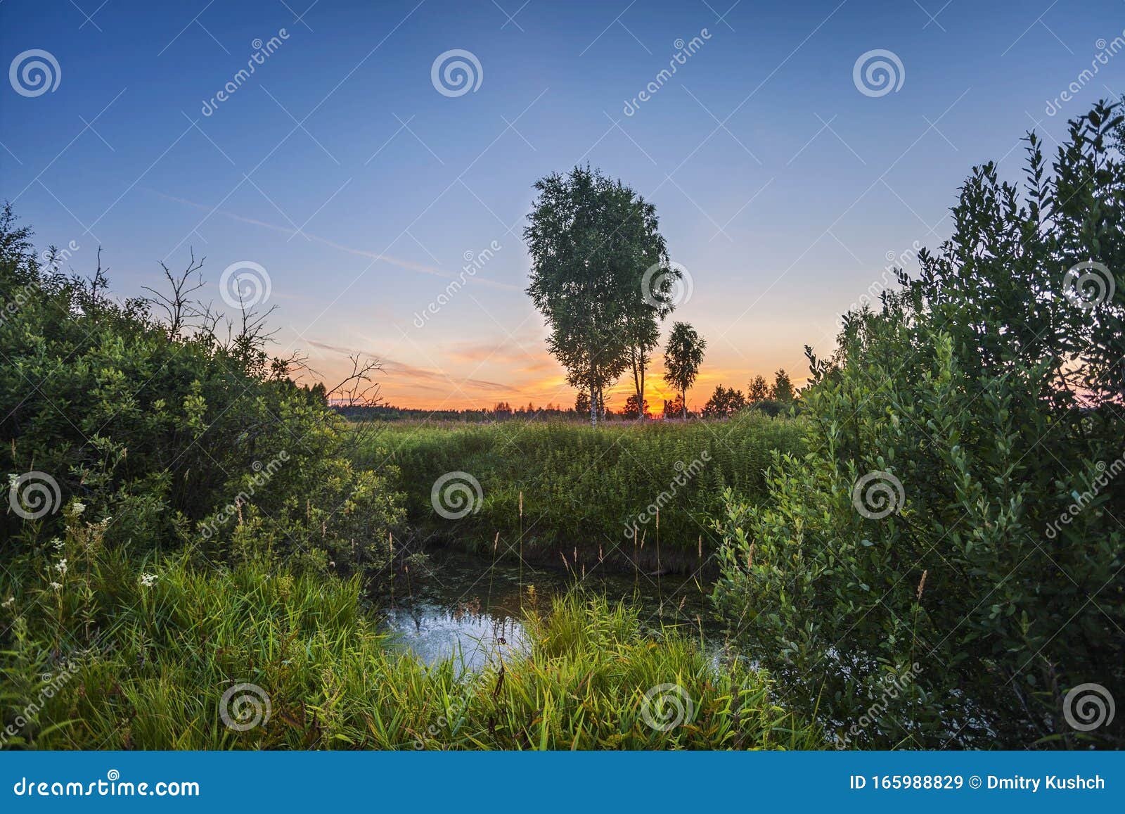 Small river in field stock image. Image of blue, country - 165988829