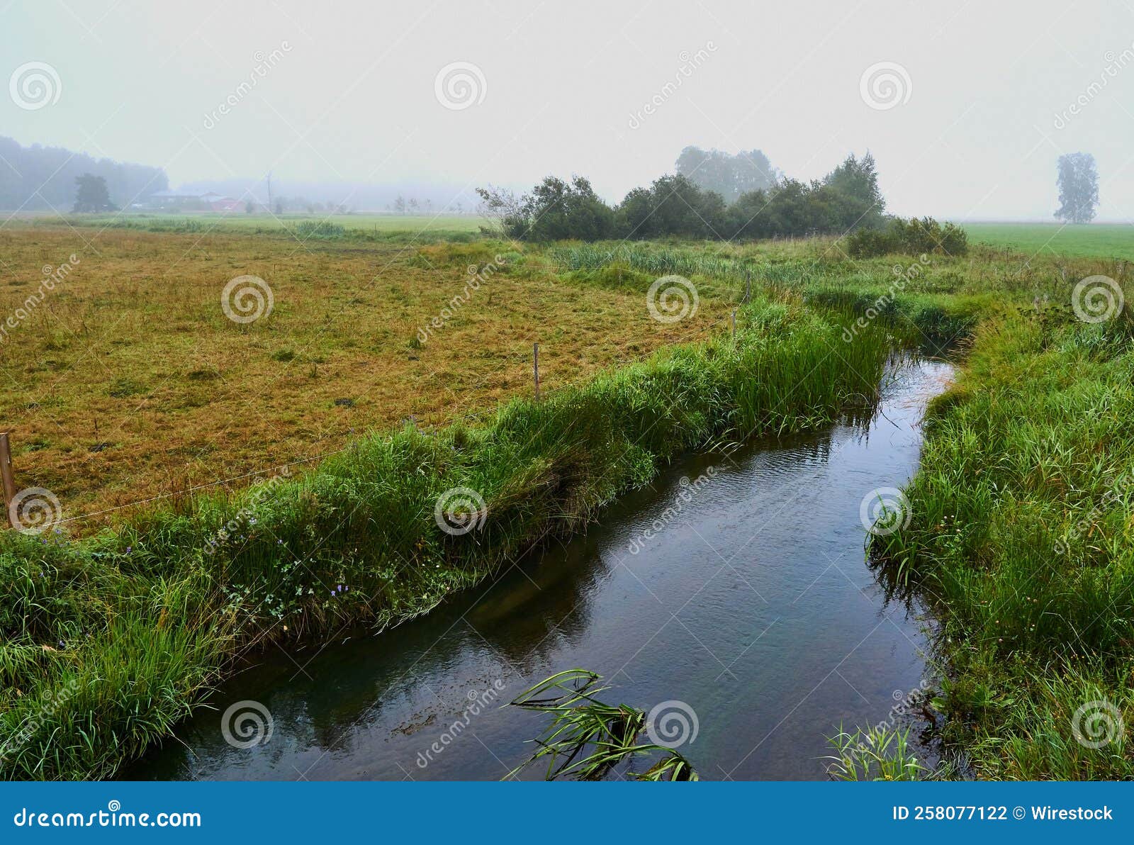 Small River Flowing through a Field during the Daytime Stock Photo ...
