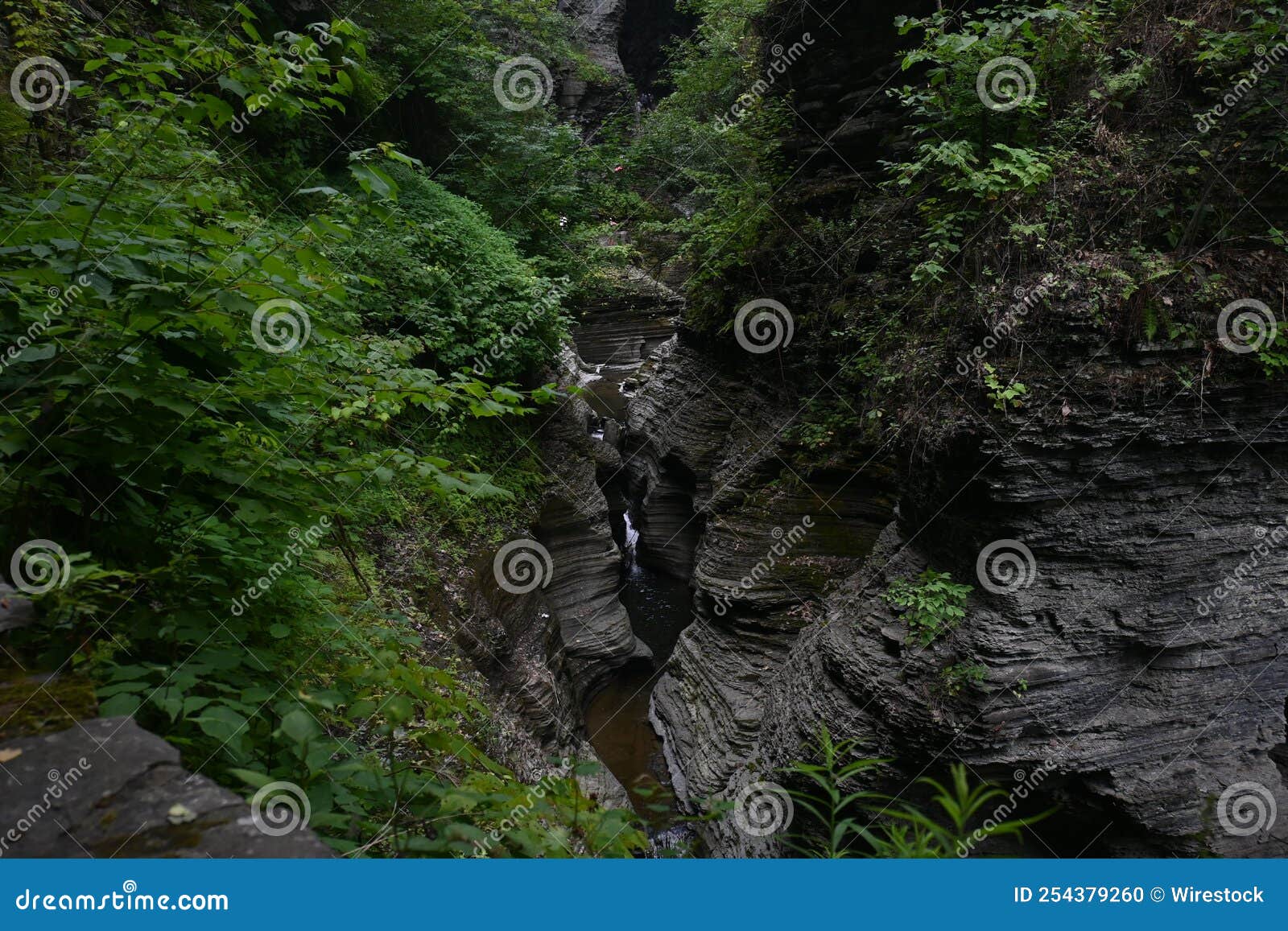 Small River Flowing through Huge Rocks Surrounded by Dense Forest Stock ...
