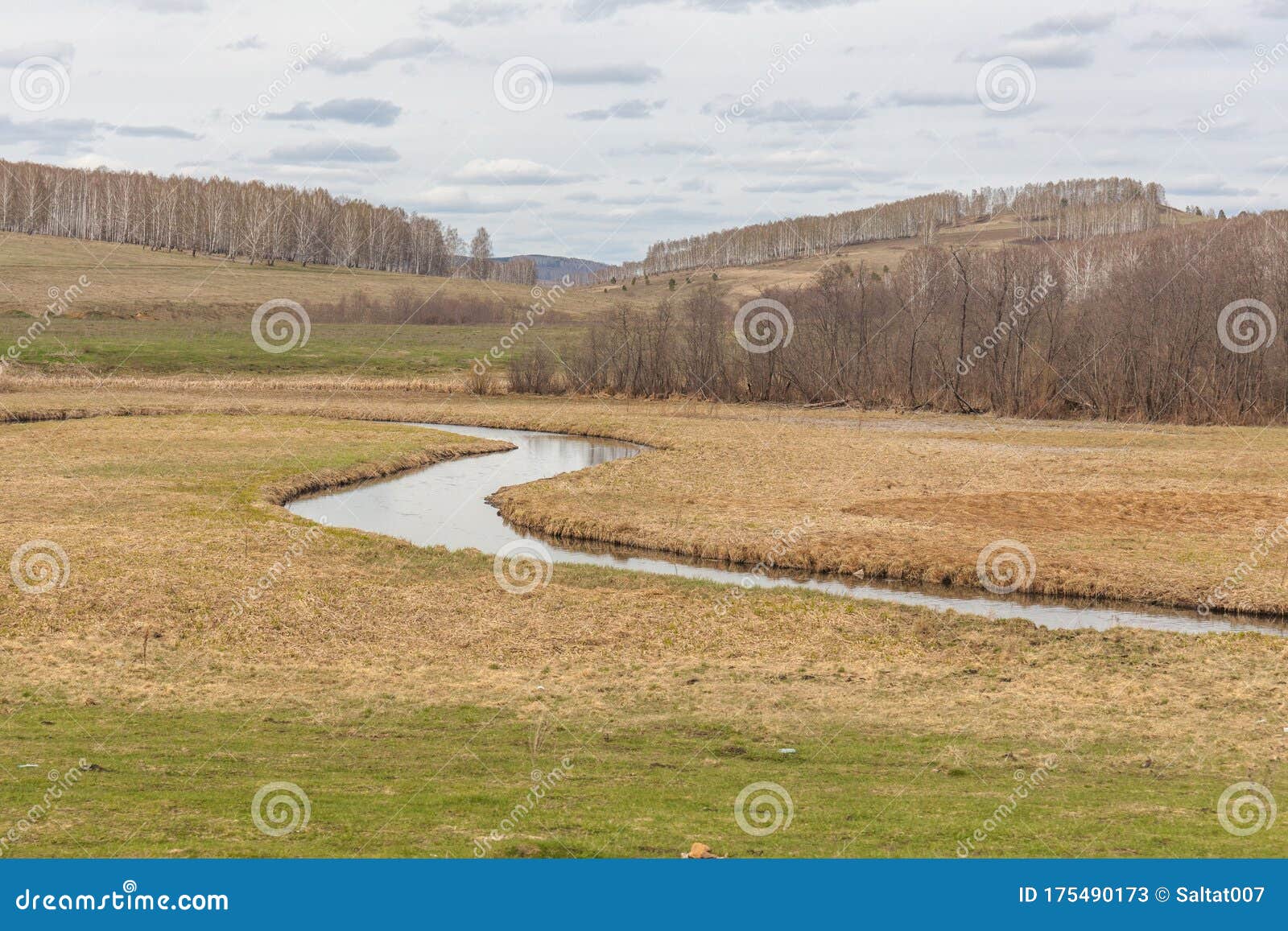 A Small River Flowing through Meadows and Agricultural Fields. Spring ...