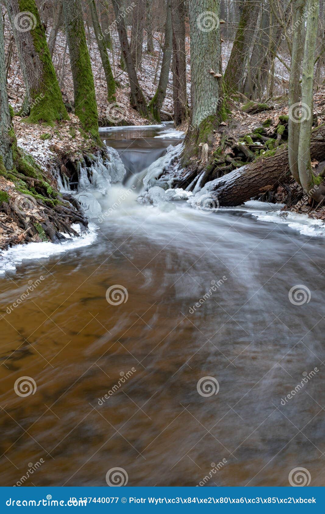 A Small River Flowing between Trees with a Small Water Degree. the ...
