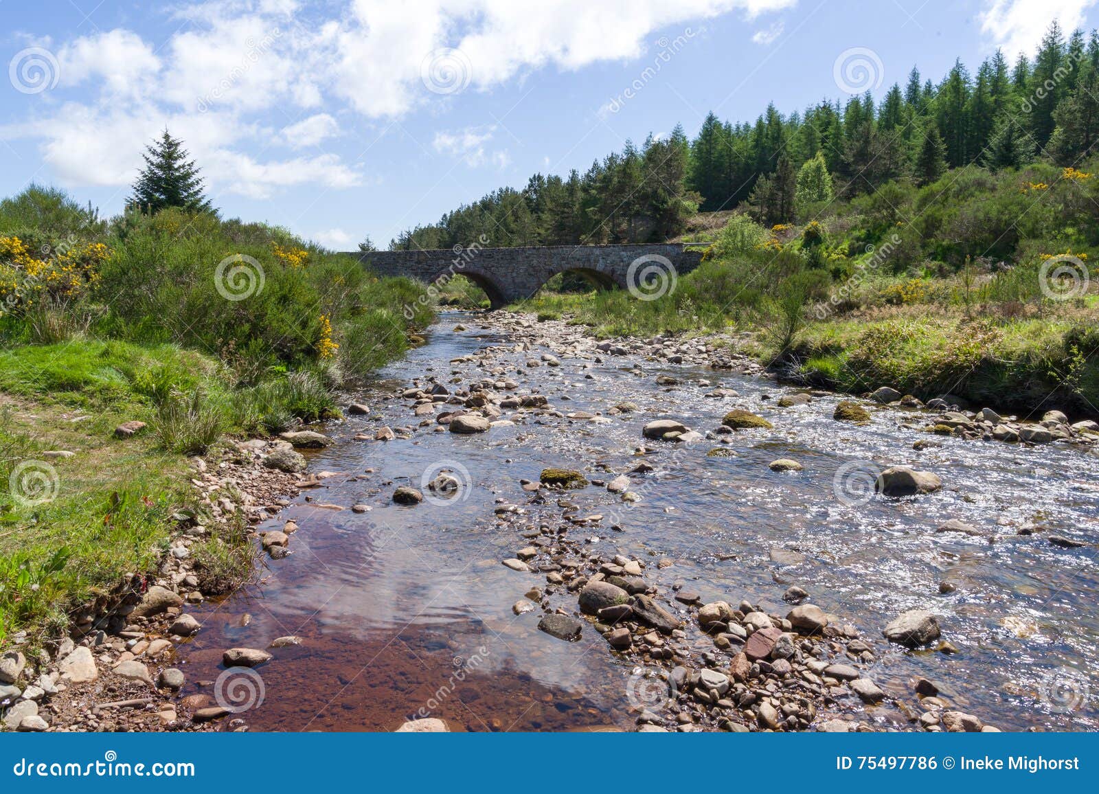 A Small River Flowing Under a Bridge Stock Photo - Image of stream ...