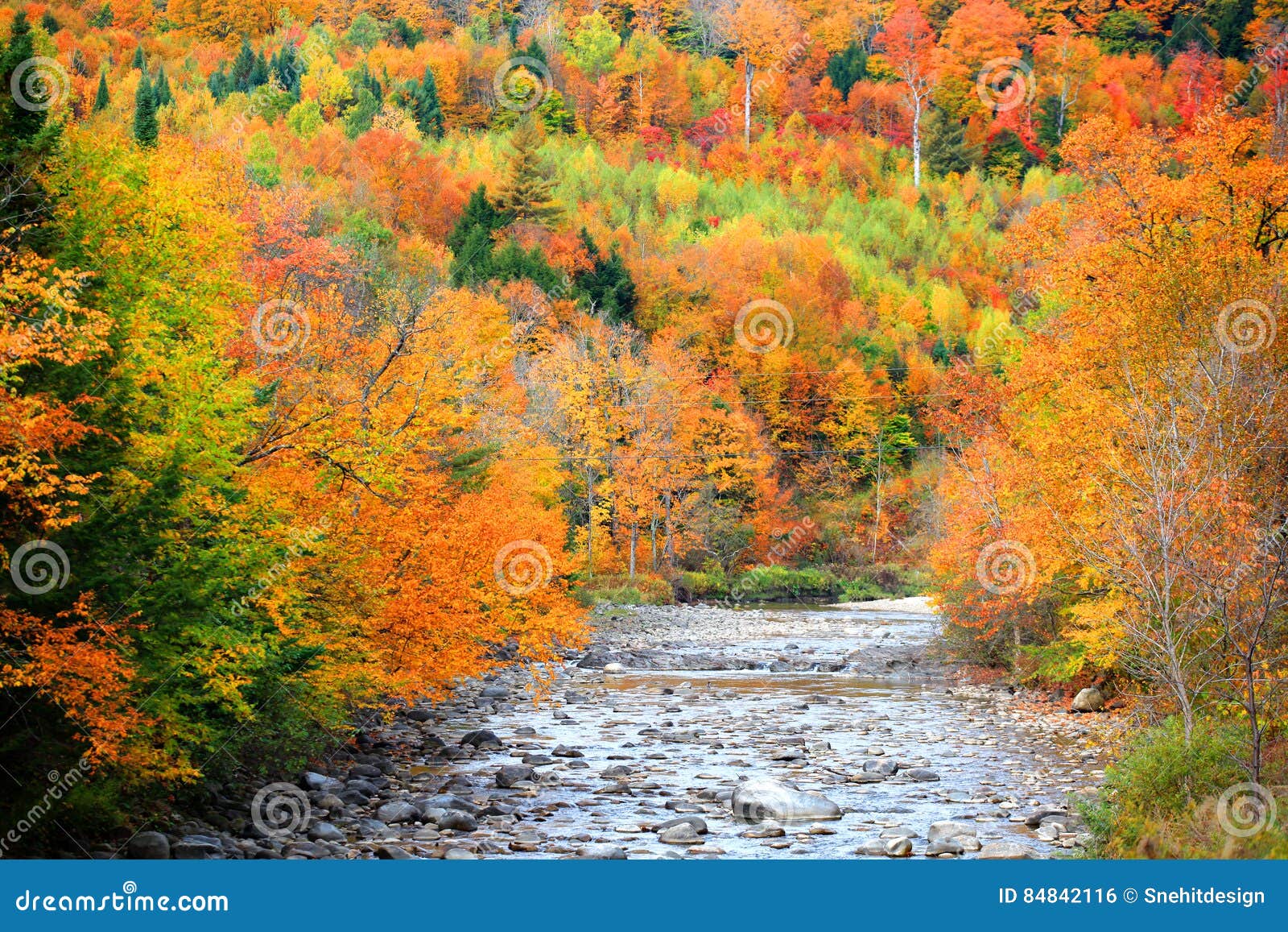 Small River Flowing through Vermont Stock Photo - Image of beautiful ...
