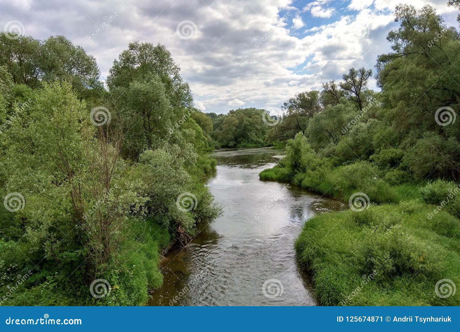 A Small River Flows in a Small Forest Stock Image - Image of natural ...