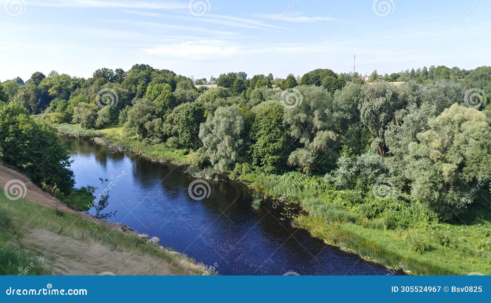 A Small River Flows between High Grassy Banks. Shrubs and Trees Growing ...