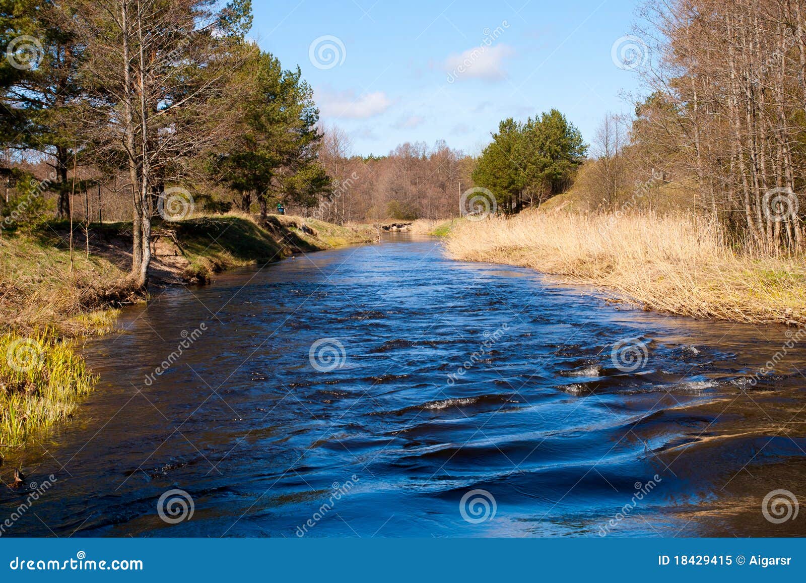 Small river in forest stock image. Image of natural, early - 18429415