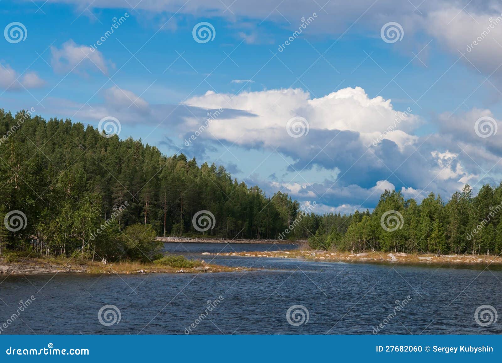Small river in forest stock photo. Image of summer, forest - 27682060
