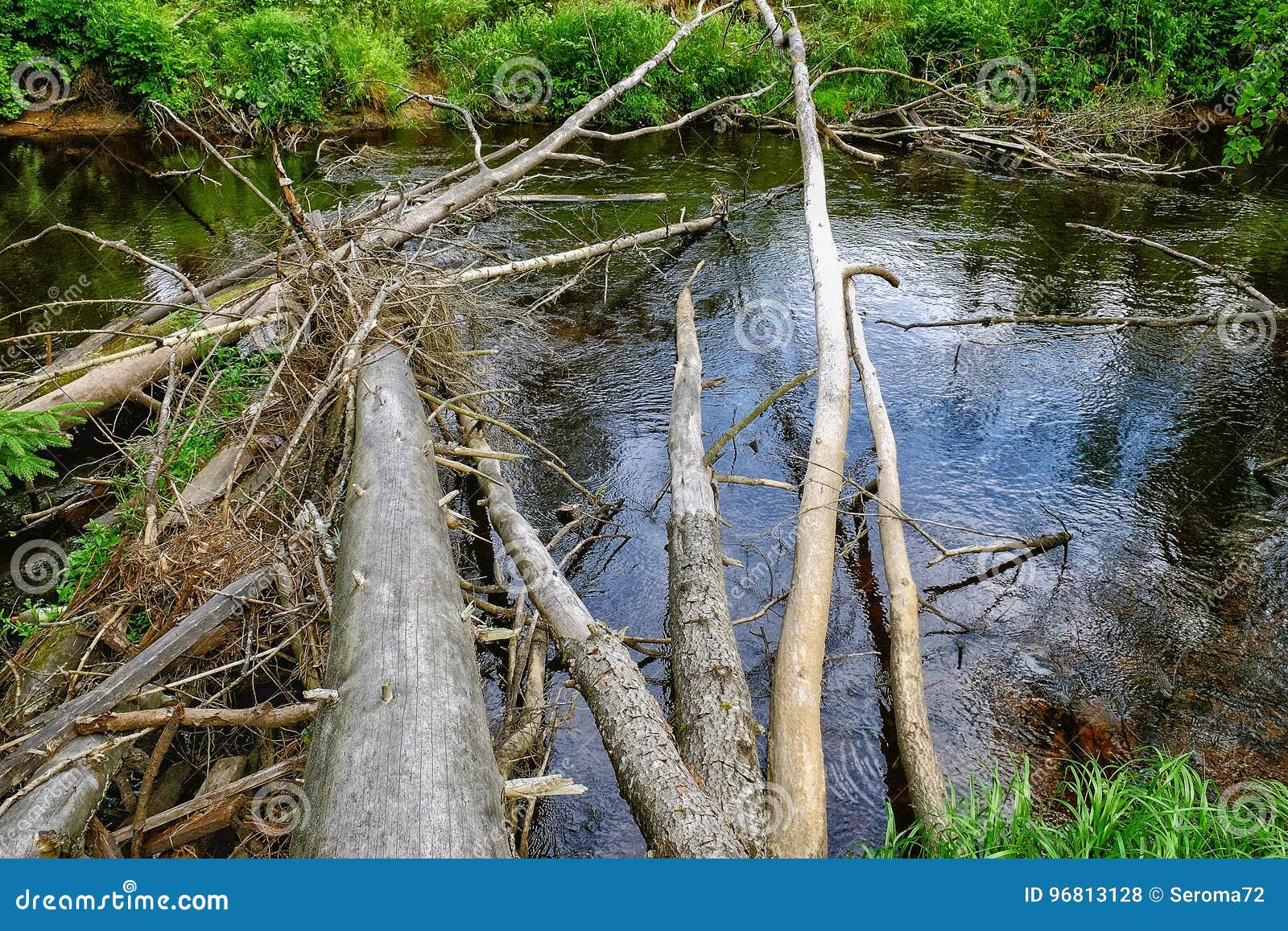 Small river in the forest stock photo. Image of rural - 96813128