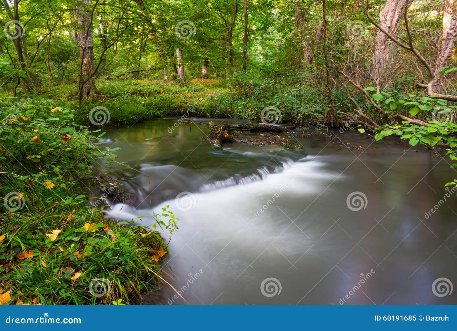 Small river in forest stock image. Image of quba, fresh - 60191685