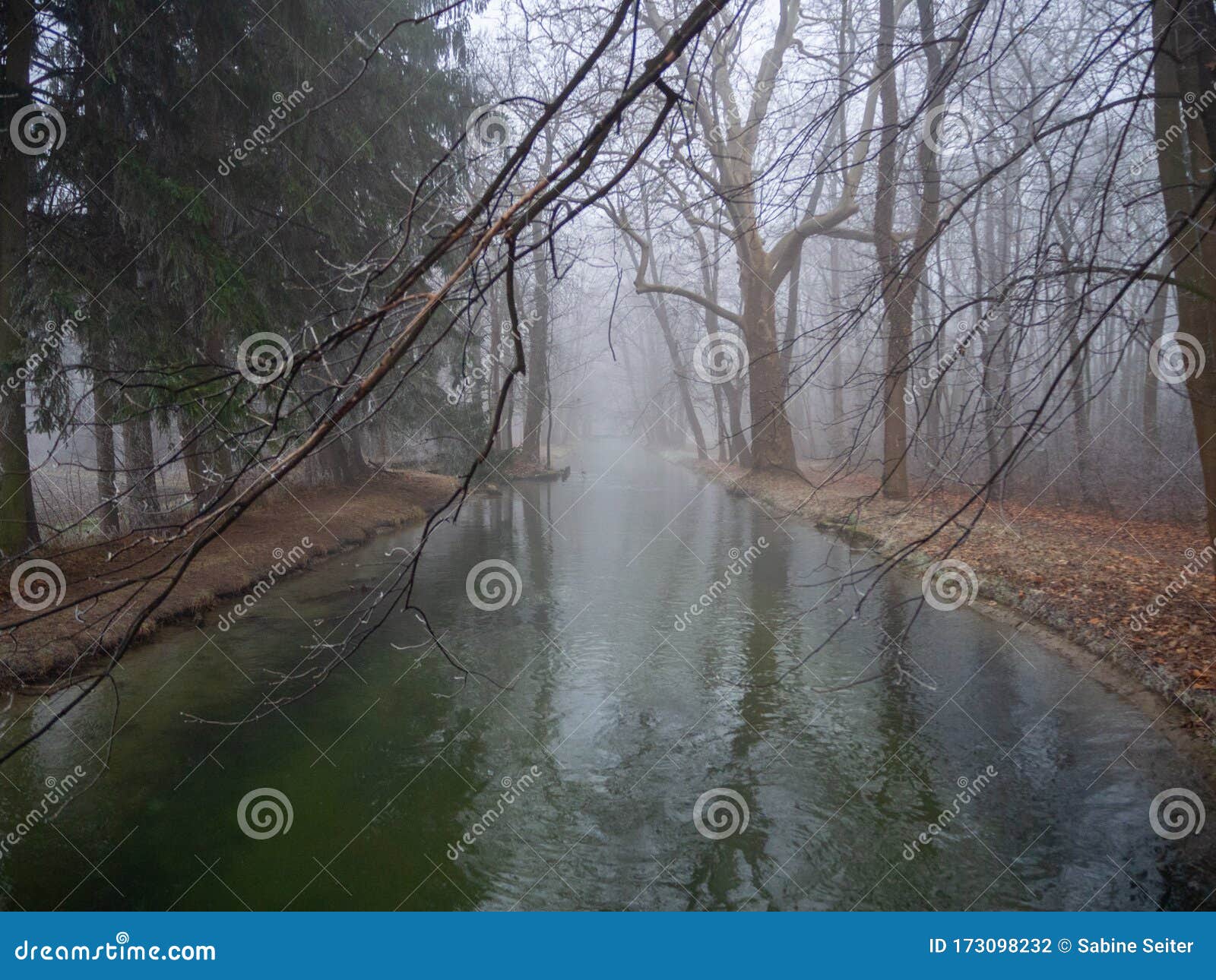 Small River in a Forest on a Foggy Day Stock Photo - Image of mist ...