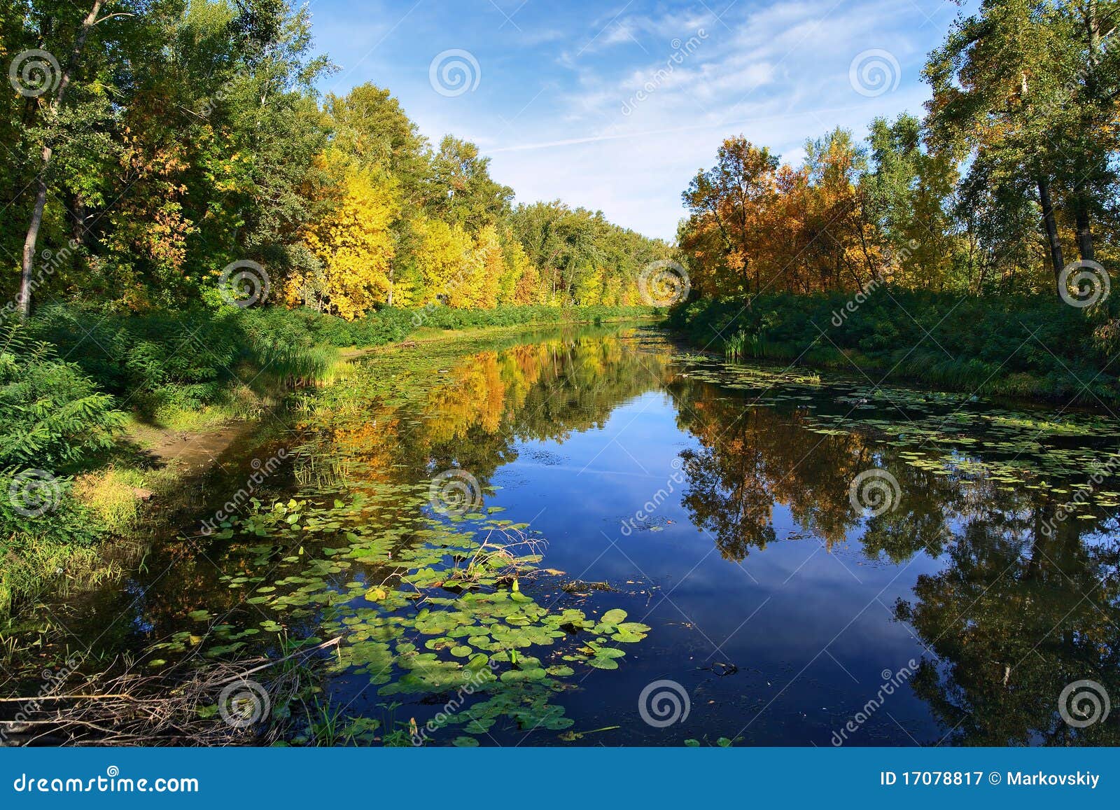 270 September Forest Small Blue River Stock Photos - Free & Royalty ...
