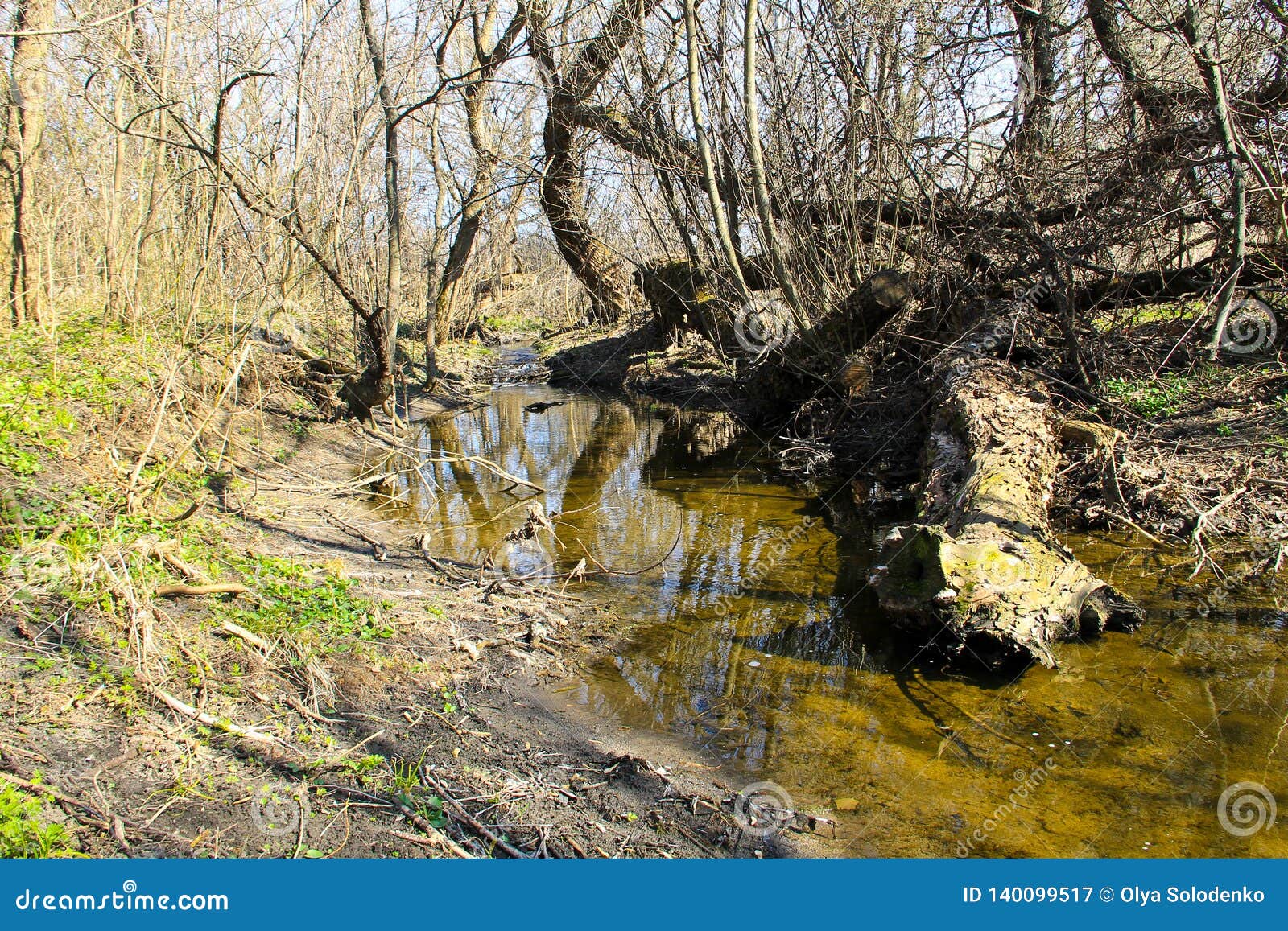 Small River in Forest on Spring Stock Image - Image of forest, quietly ...