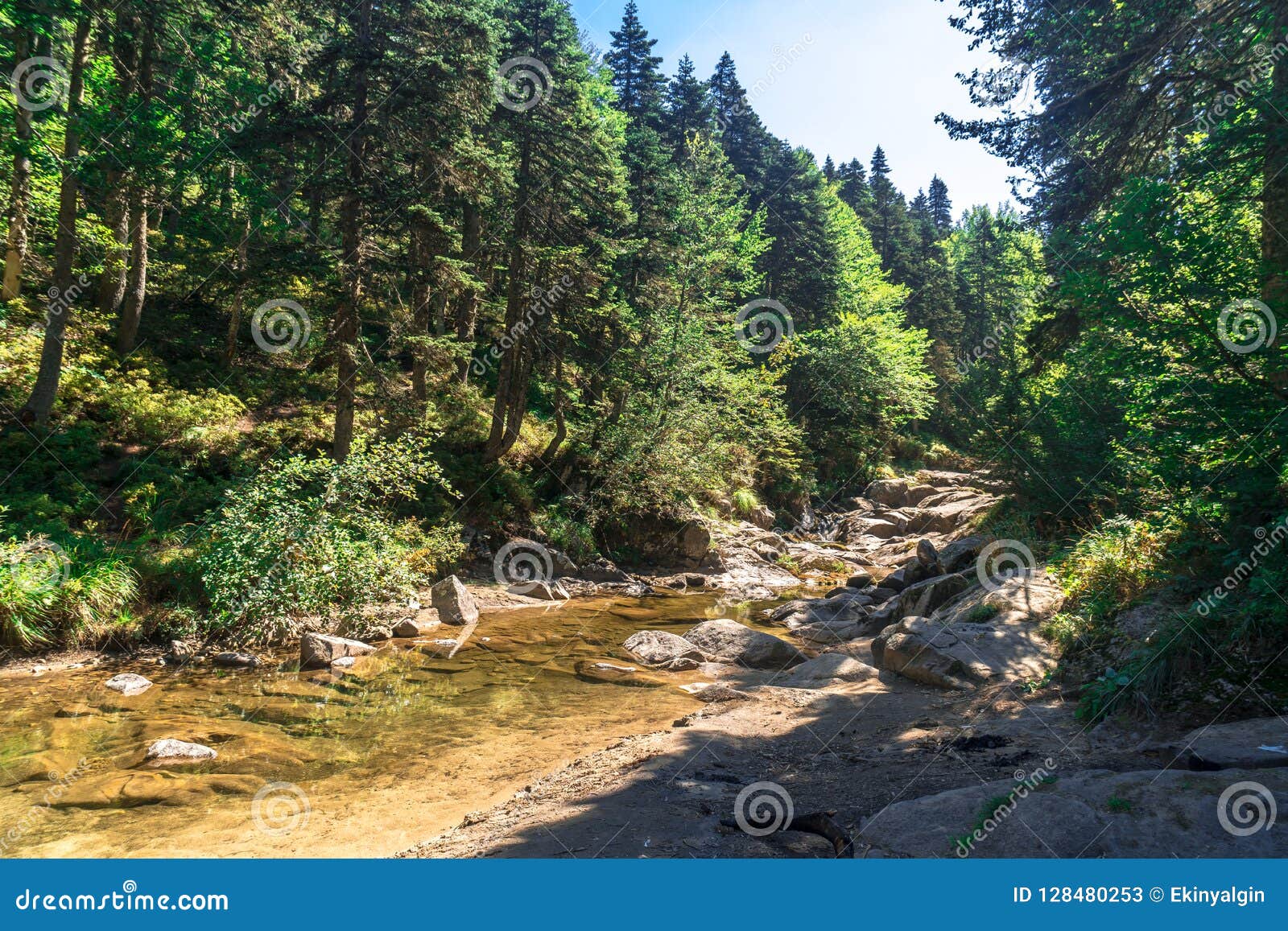 Small River among Forest in Uludag National Park Stock Image - Image of ...