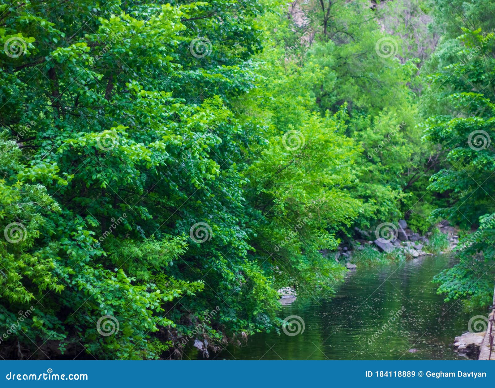 Small River in the Forest, Water Flowing into the River, Stream in the ...