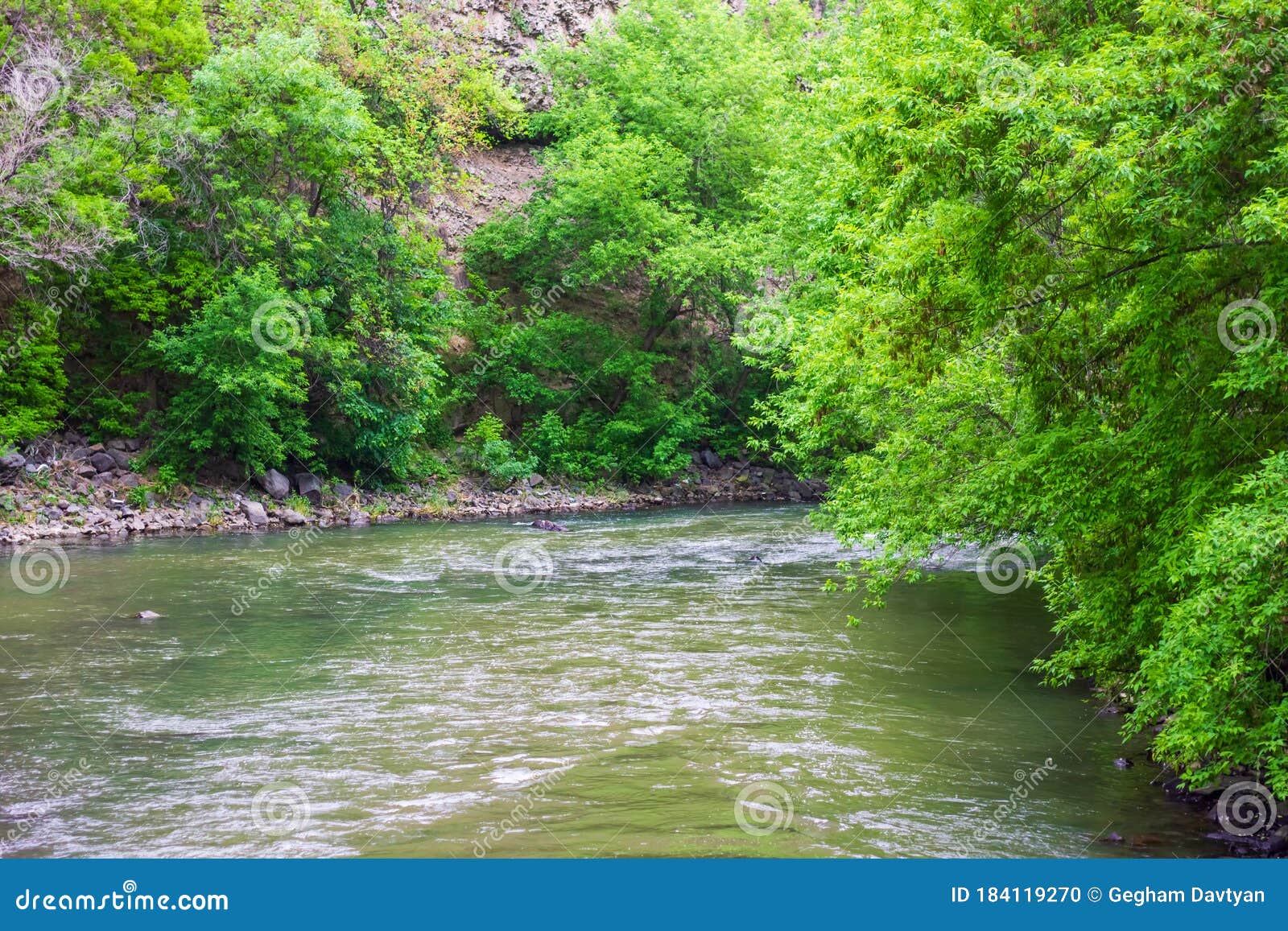 Small River in the Forest, Water Flowing into the River, Stream in the ...