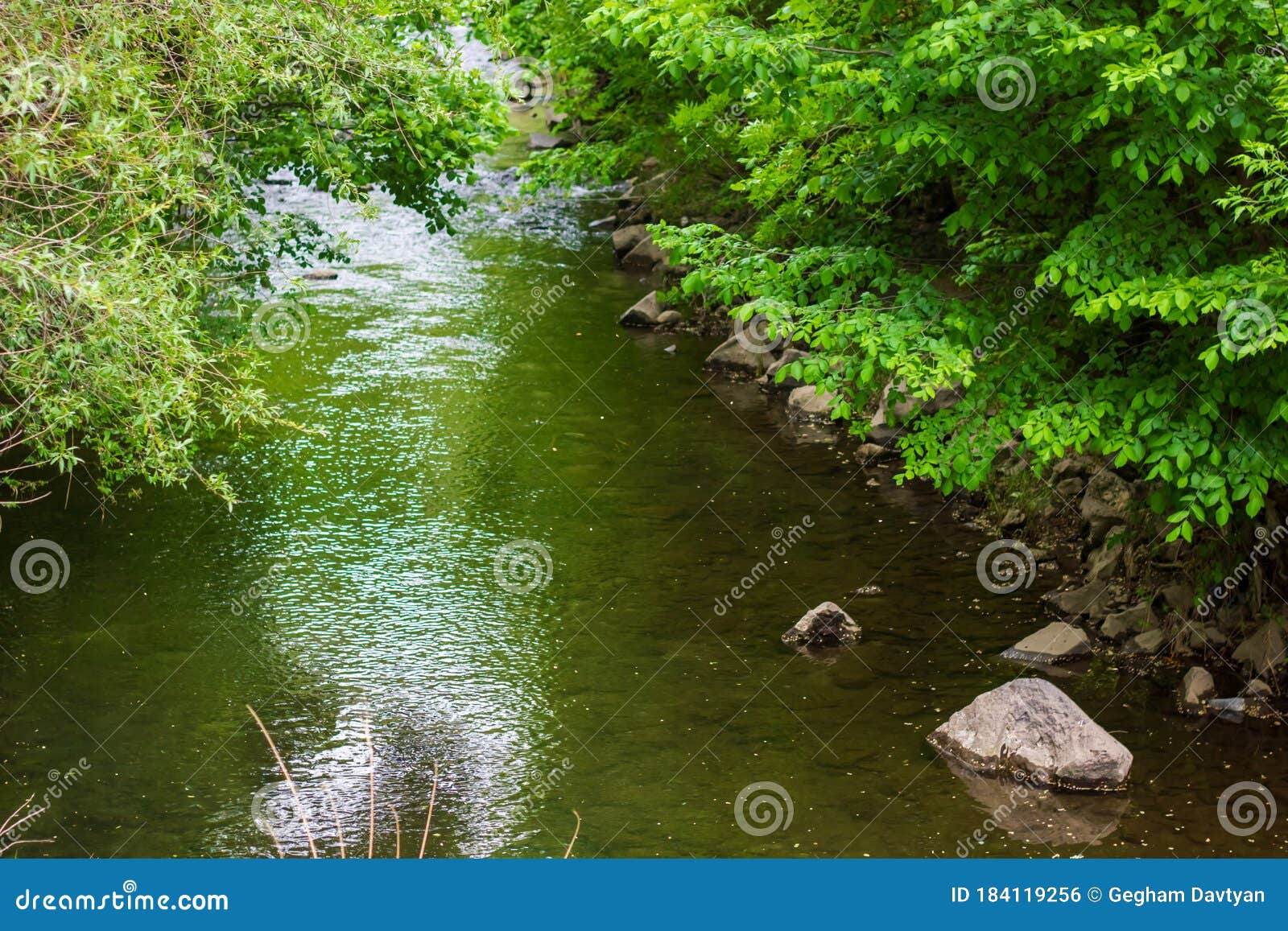 Small River in the Forest, Water Flowing into the River, Stream in the ...