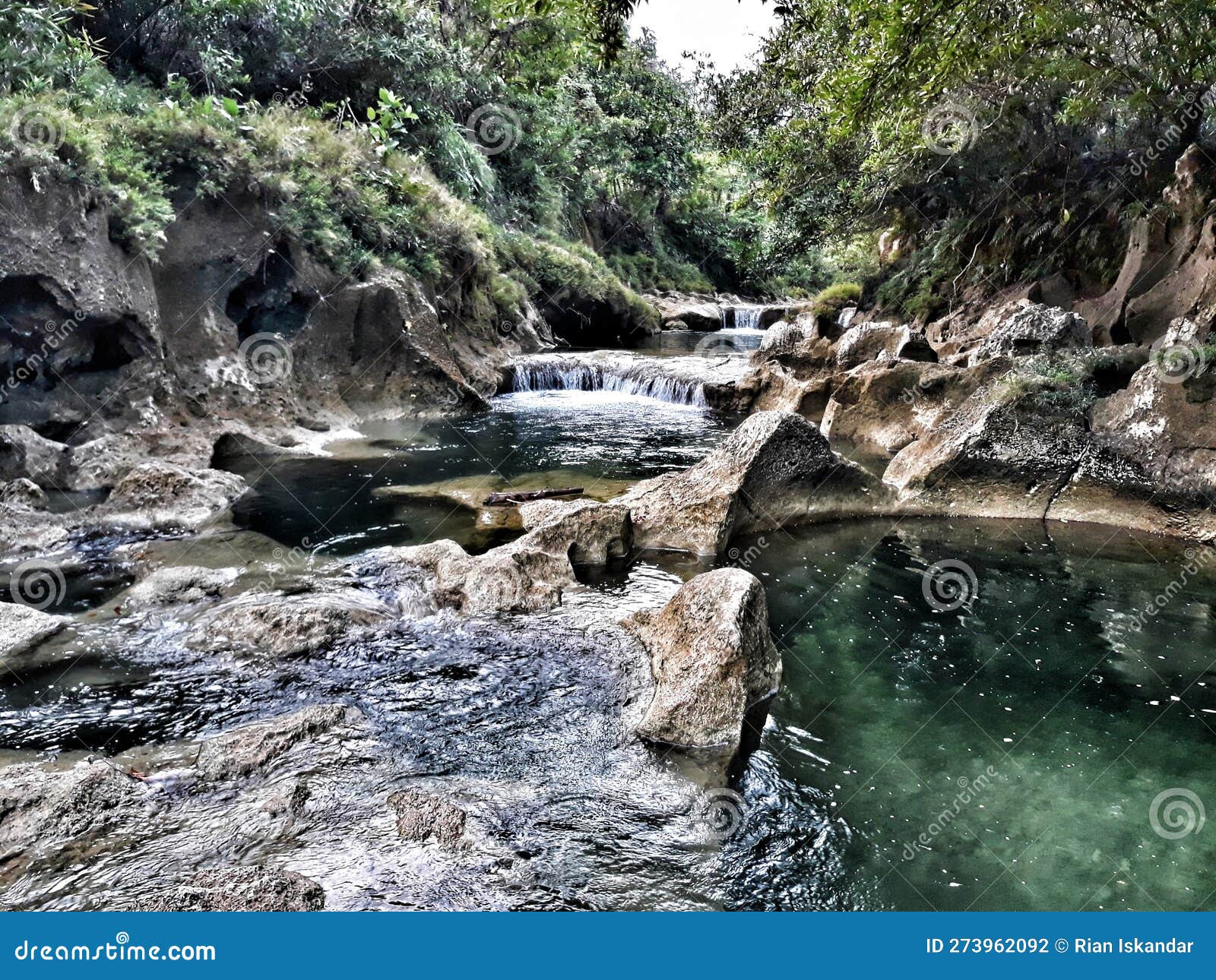 A Small River in the Forest Where the Bottom is Rocky Soil so that it ...