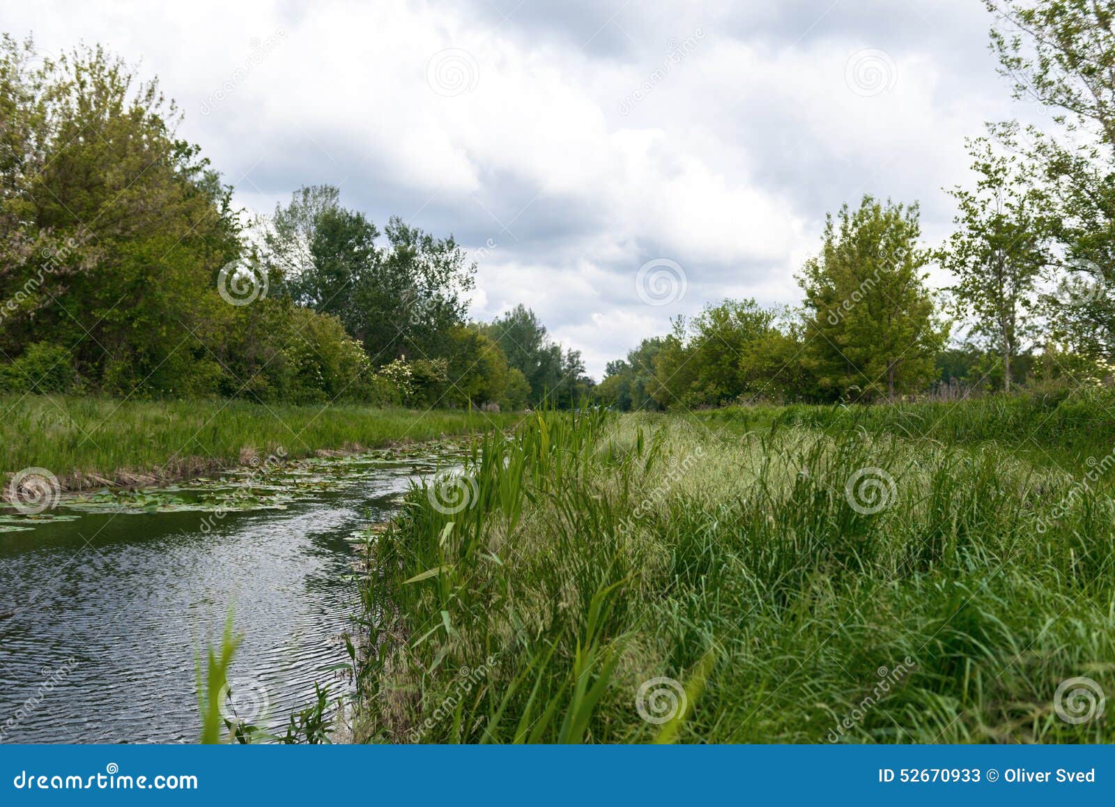 Small River with Green Grass Stock Image - Image of green, landscape ...