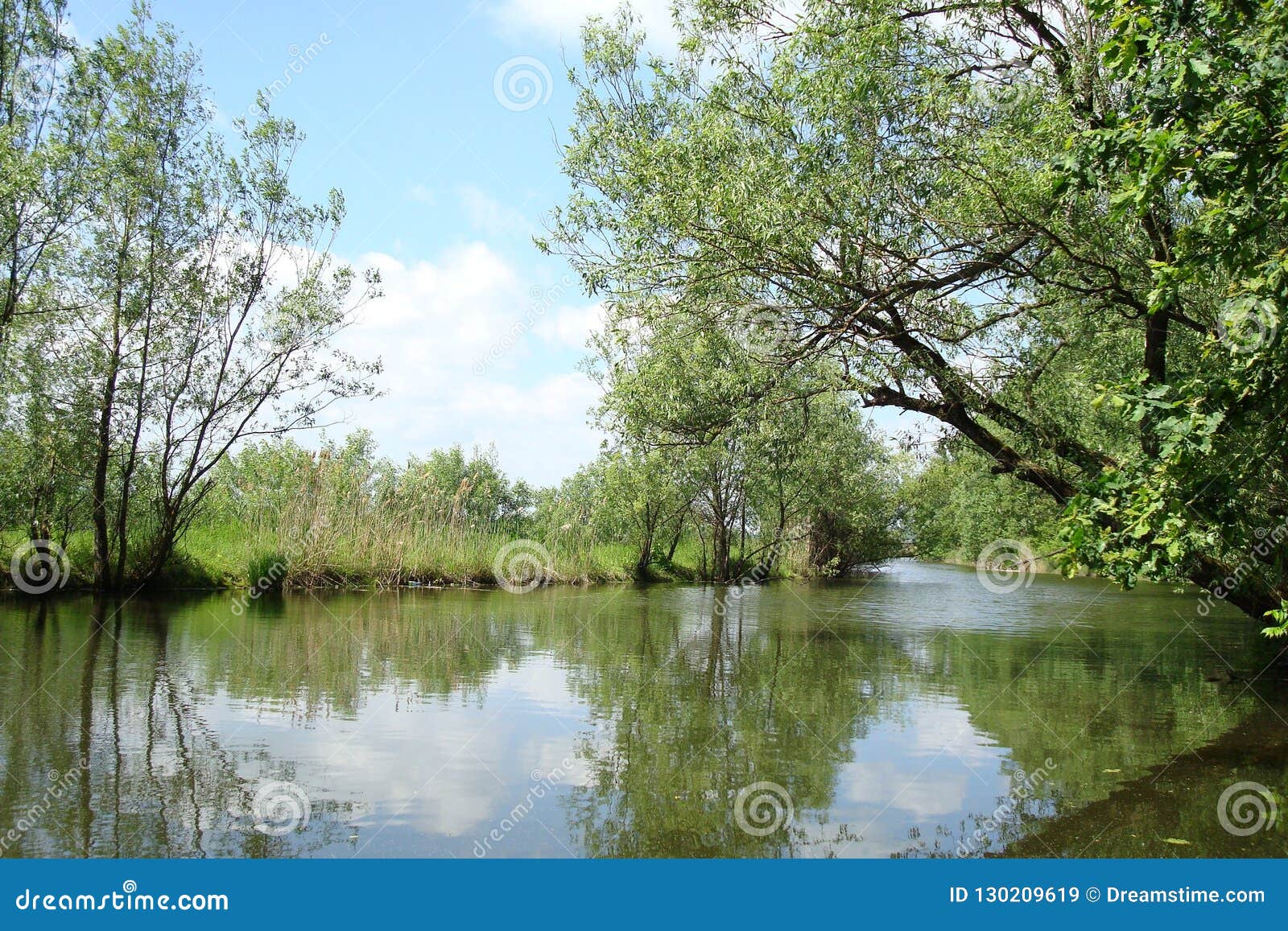 Small River with Green Trees Along Shores Editorial Stock Image - Image ...