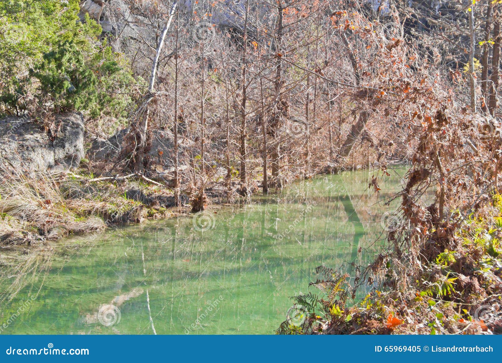 Small River at Hamilton Pool Stock Image - Image of river, stone: 65969405