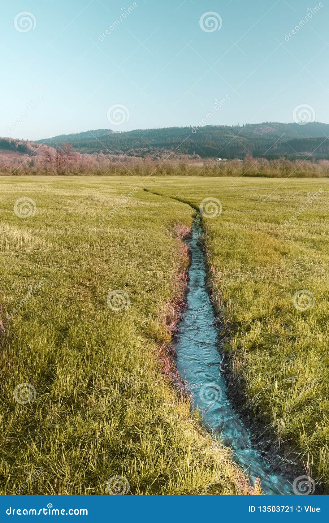 Small River in hay field stock image. Image of rill, grass - 13503721