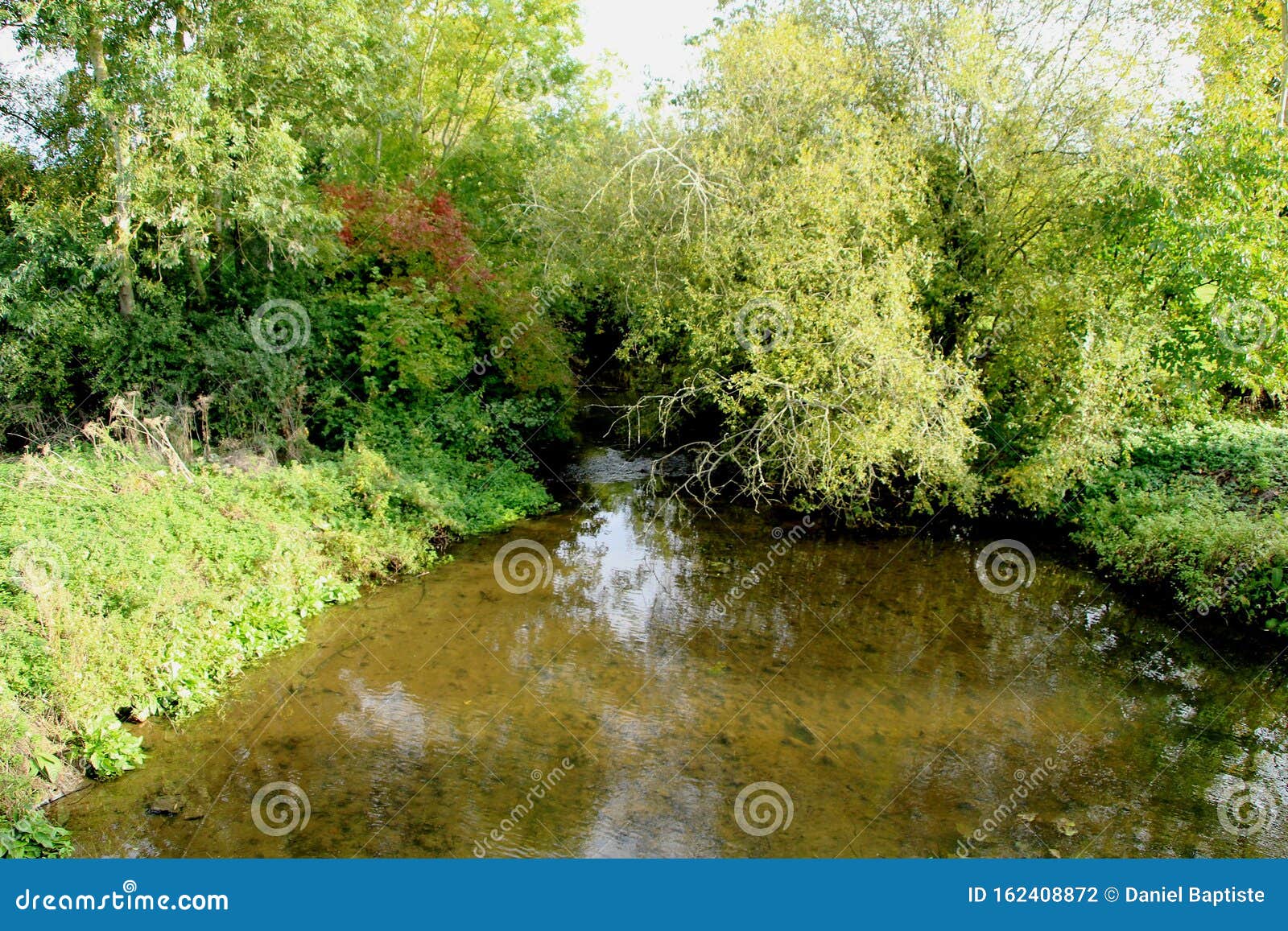River in the countryside stock photo. Image of countryside - 162408872
