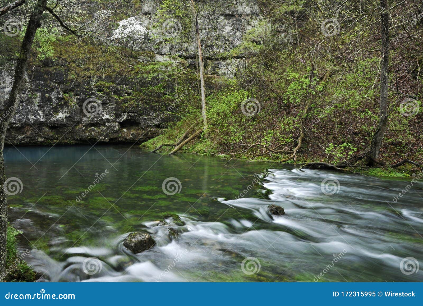 Small River in the Missouri Ozark Region in Spring Stock Image - Image ...