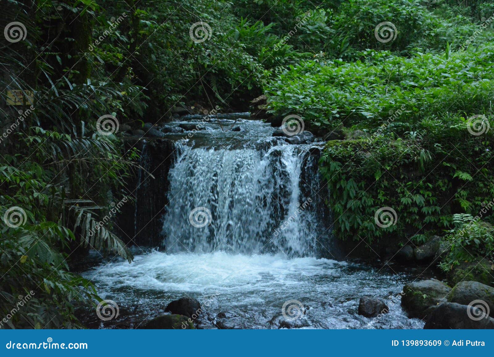 Small River View with Water Falls Stock Image - Image of forest, river ...