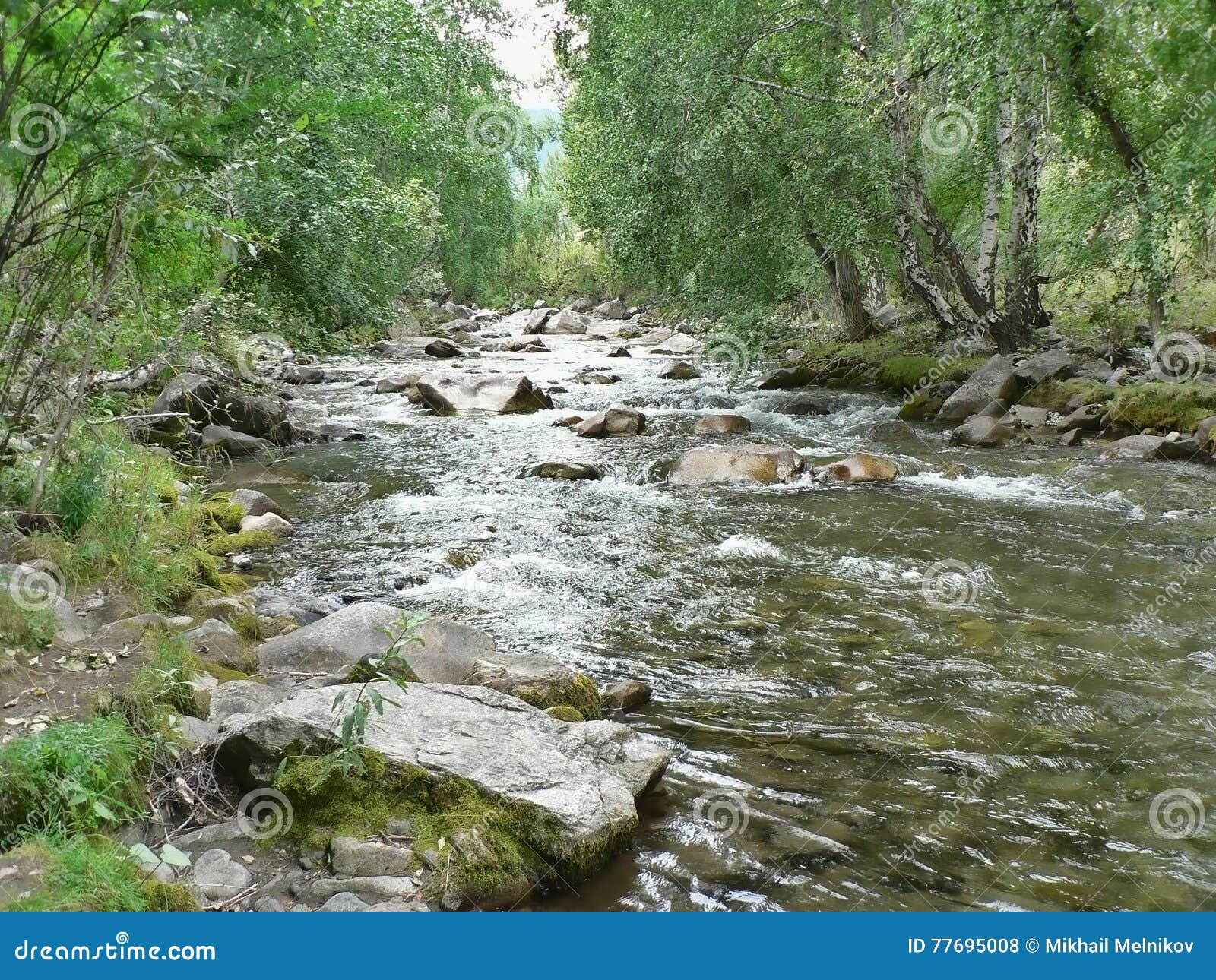 Small River in the Mountains Flows between Rocks and Grass Stock Photo ...