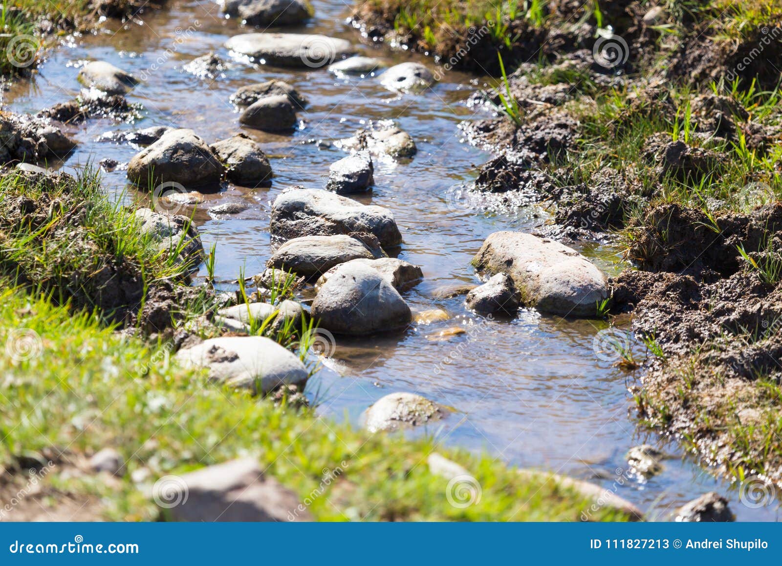 Small river in nature stock image. Image of environment - 111827213