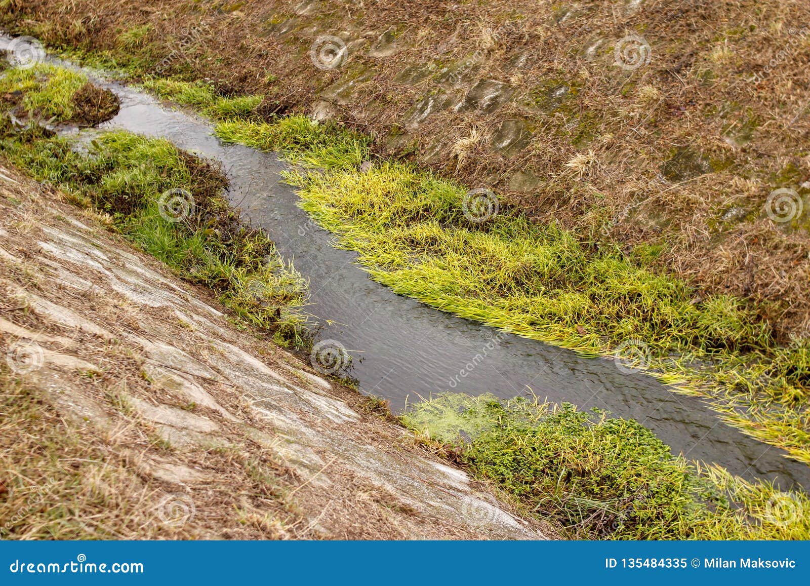 Small river through park stock image. Image of outdoors - 135484335