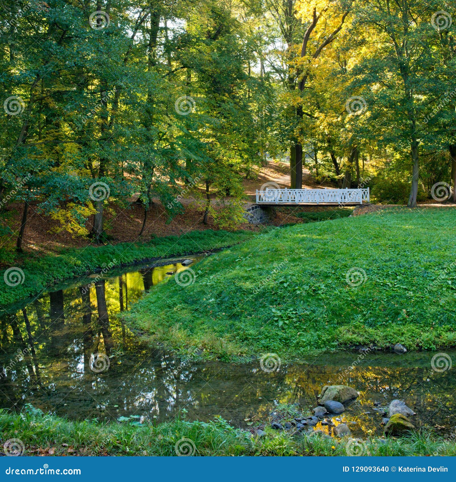 Small river in the park stock photo. Image of flora - 129093640